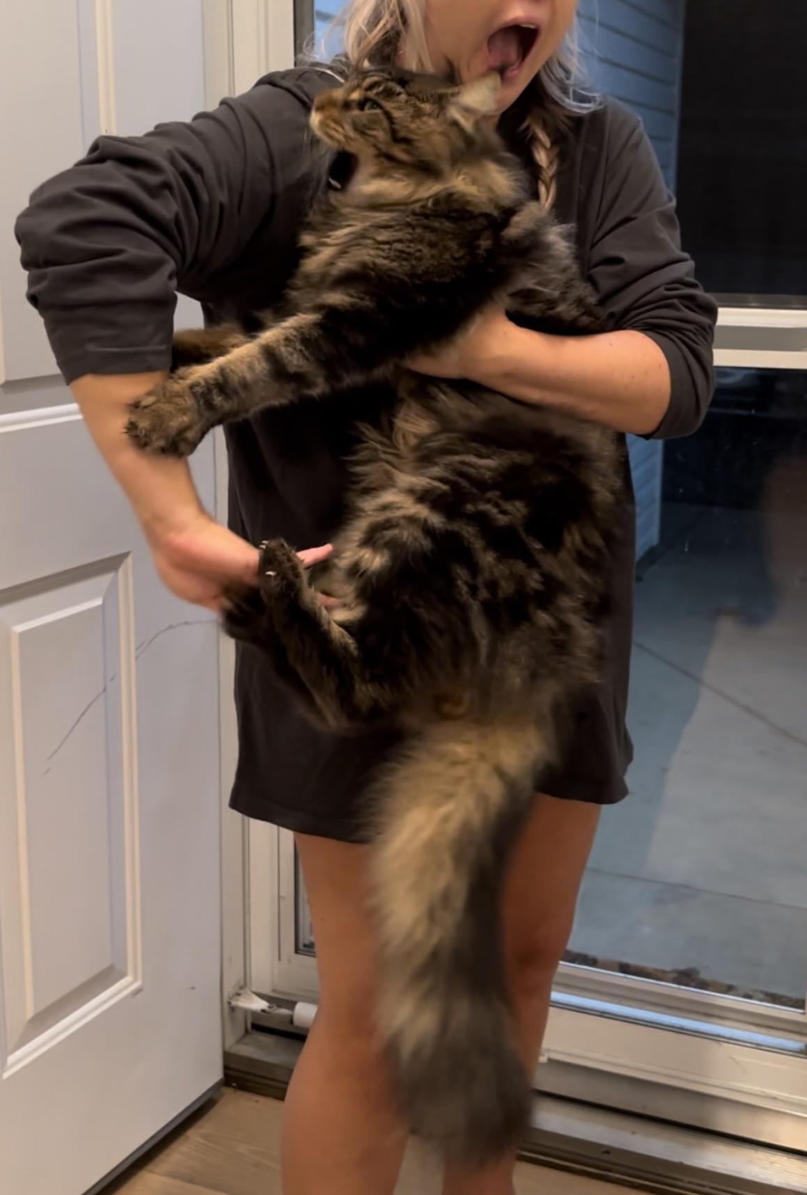 Mr Bitey going full send! | Scrolller