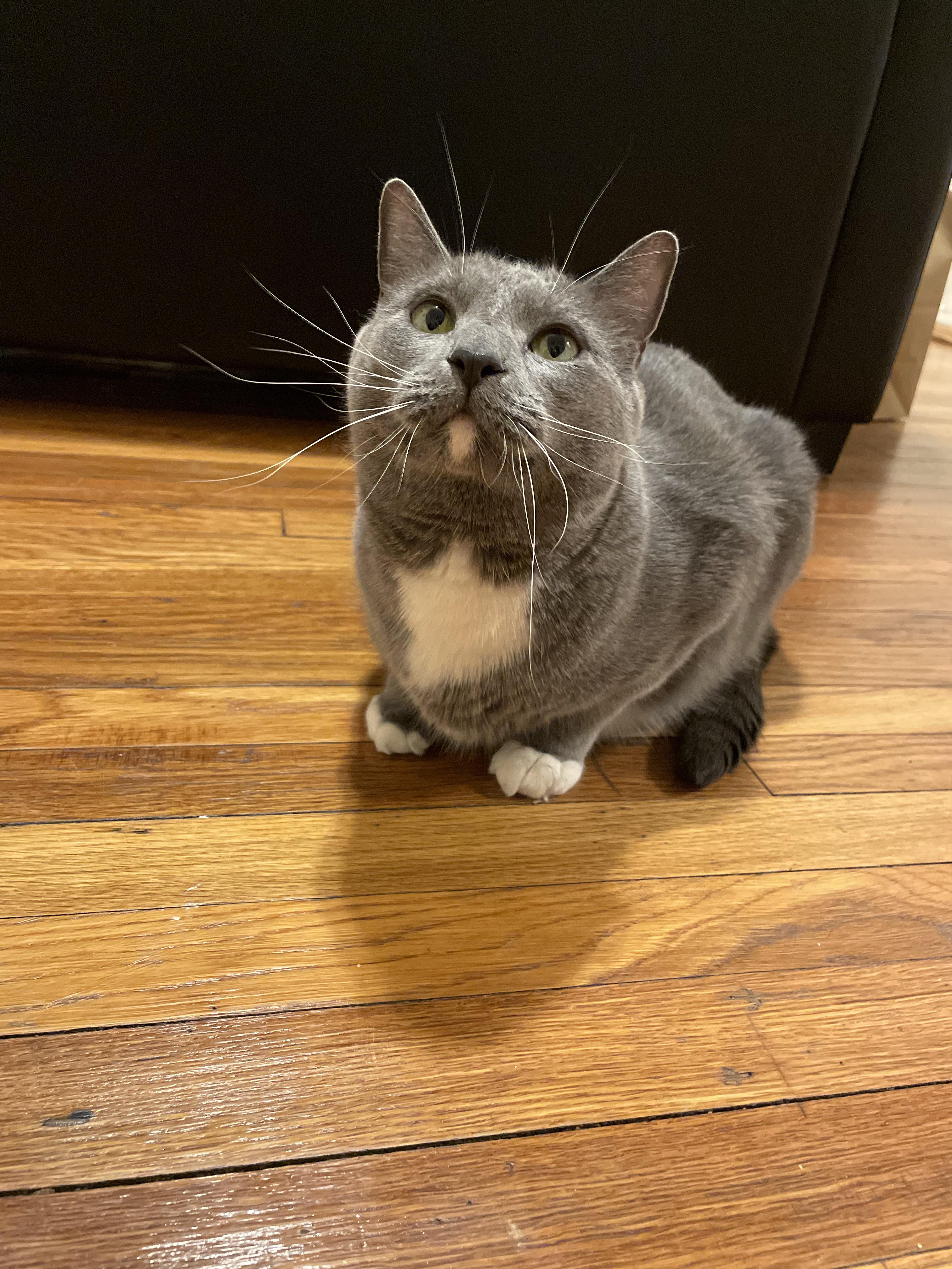 mr man and his peanuts | Scrolller