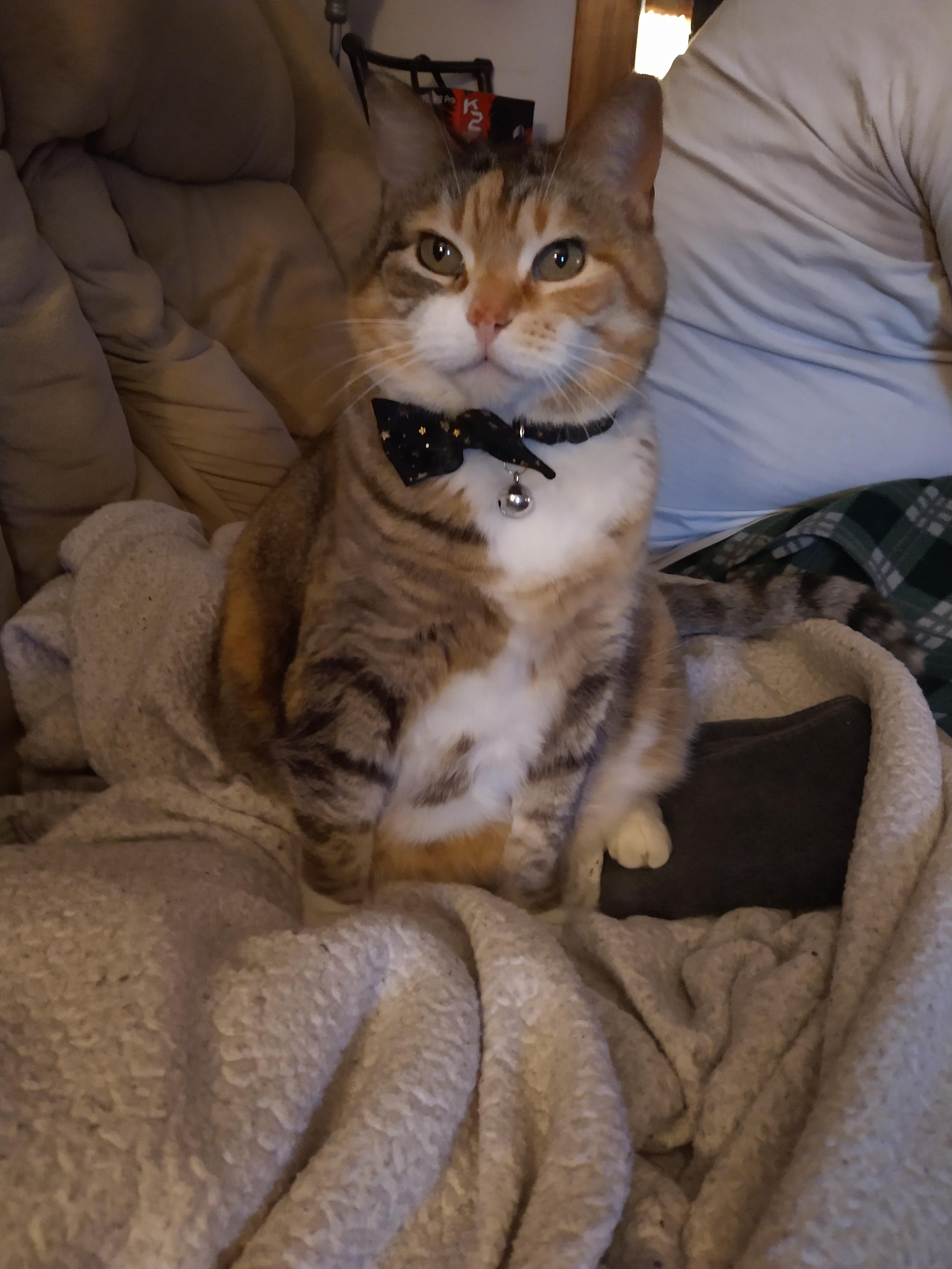 Ms. Peanut showing off her peanuts | Scrolller