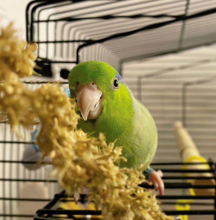 Munch munch munch | Scrolller