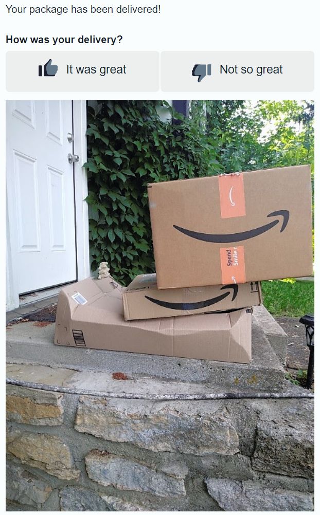 My Amazon delivery yesterday... | Scrolller