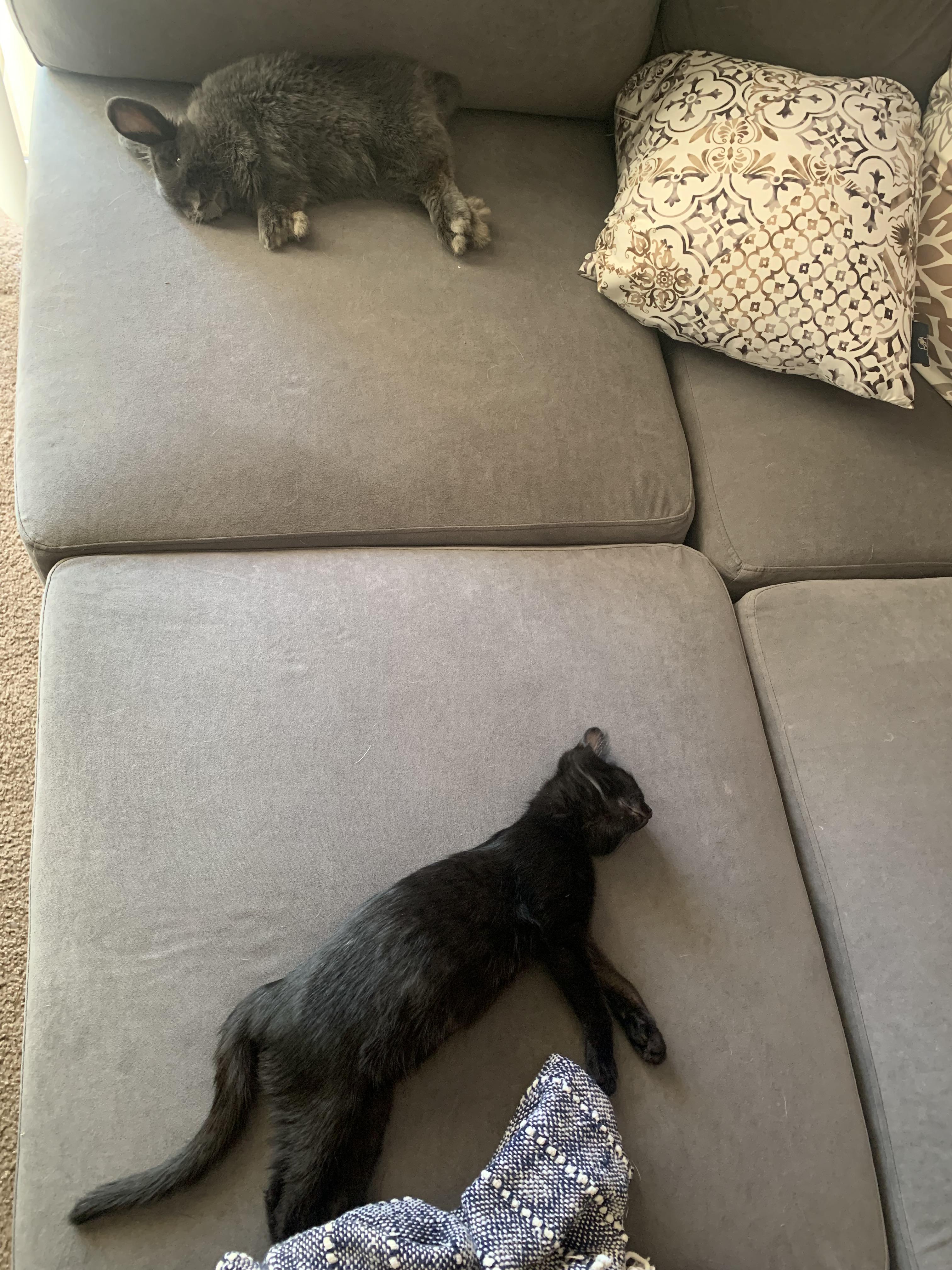 My babies sleeping | Scrolller