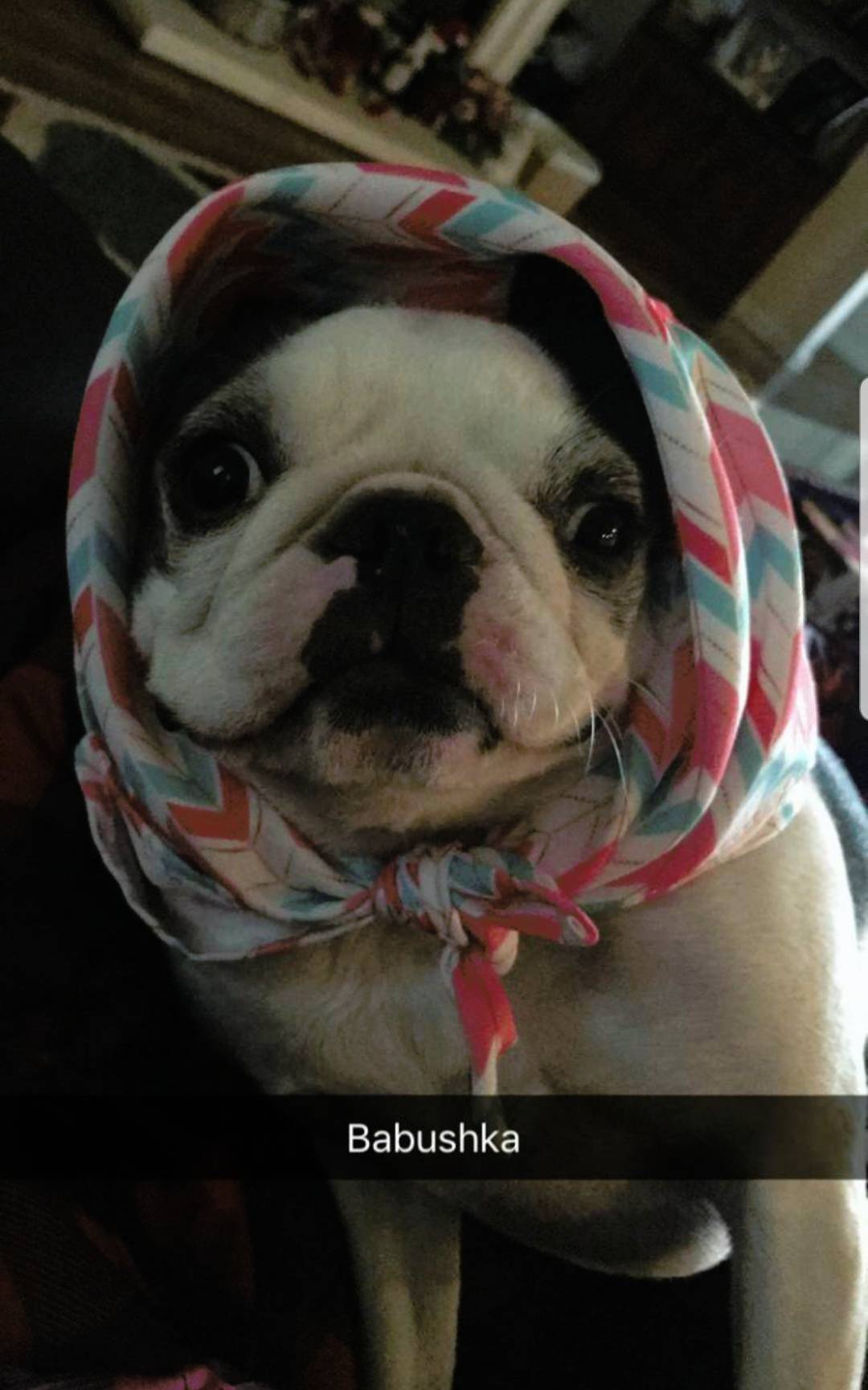 My babushka | Scrolller