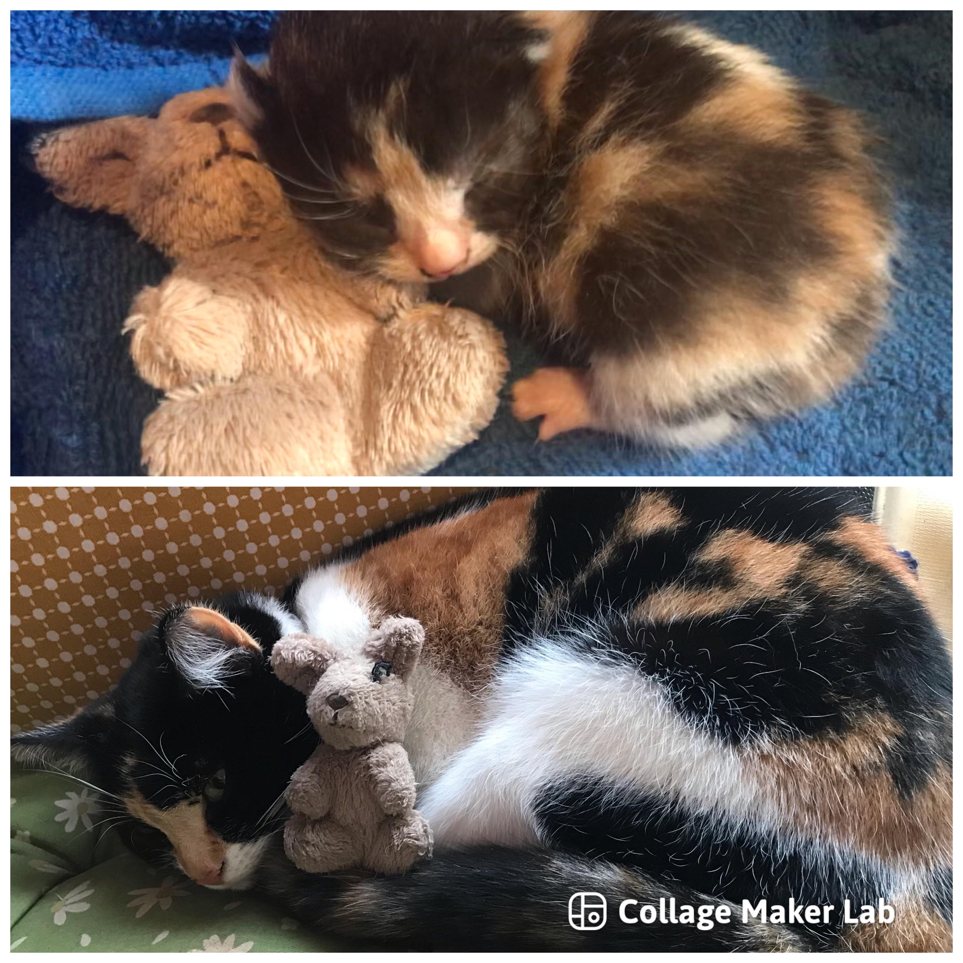 My baby Butterbean, 6 days old vs 10 months old | Scrolller