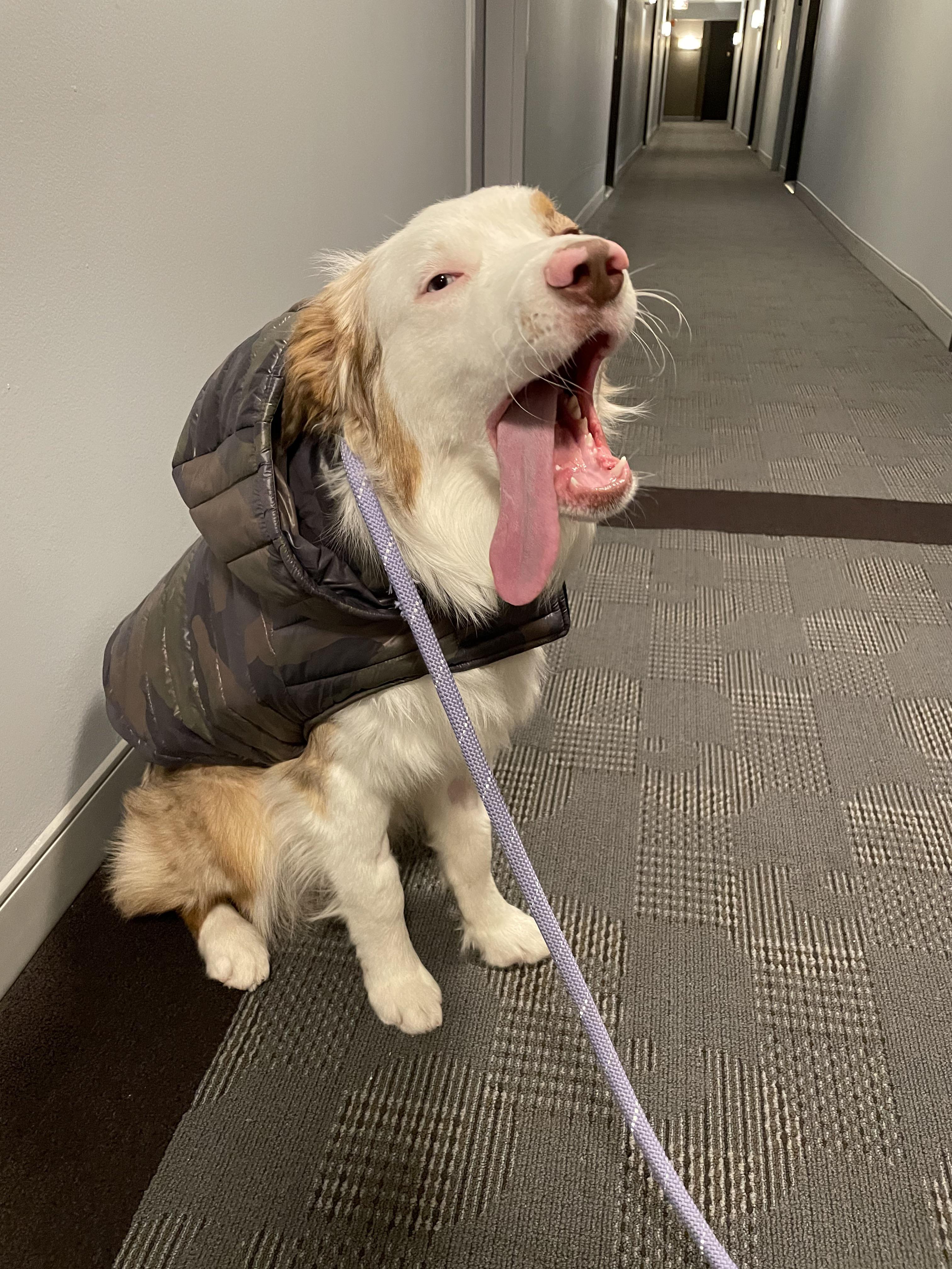 My boy is so handsome | Scrolller