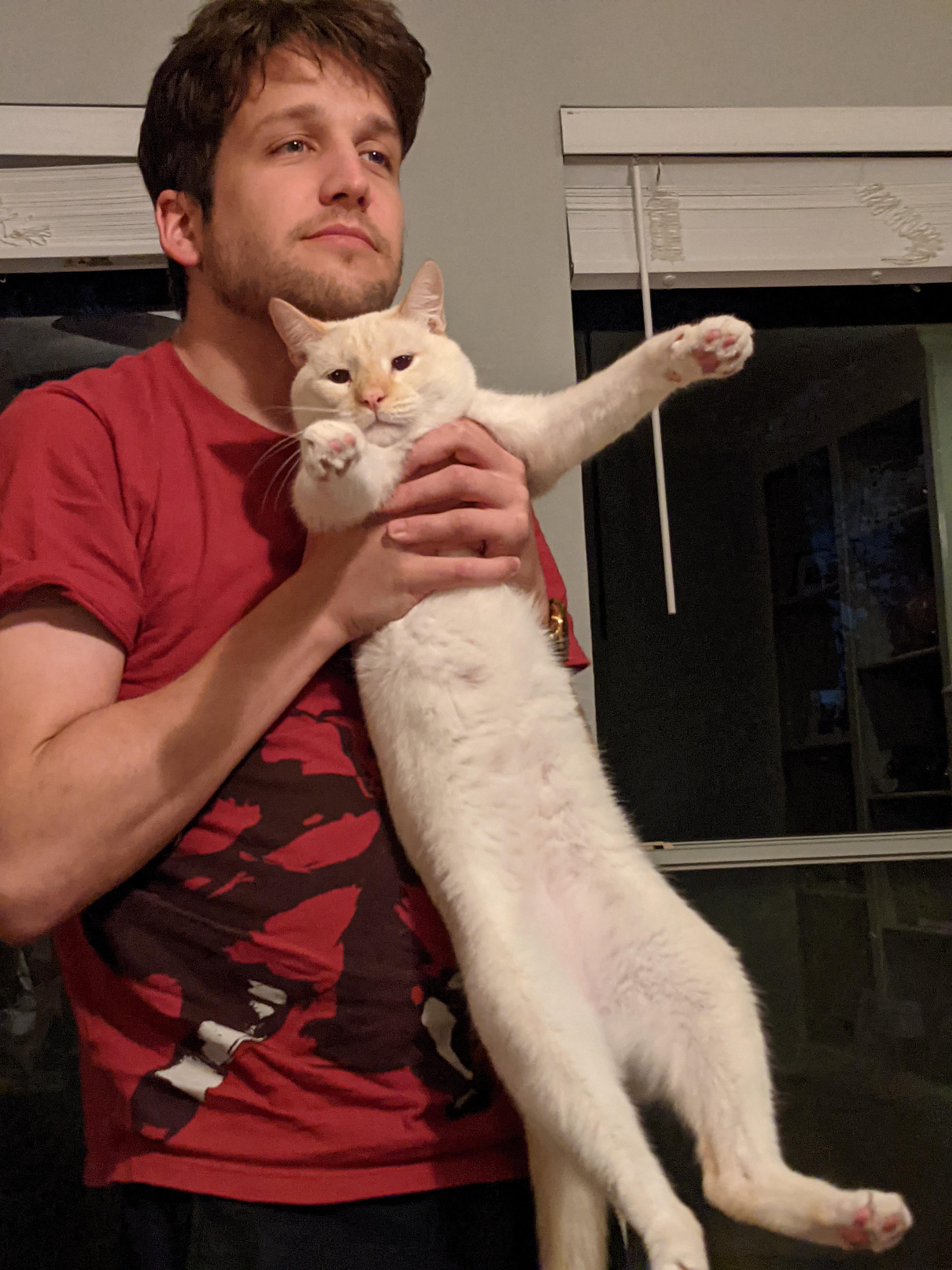 My boy Ronin demonstrating exceptional length | Scrolller