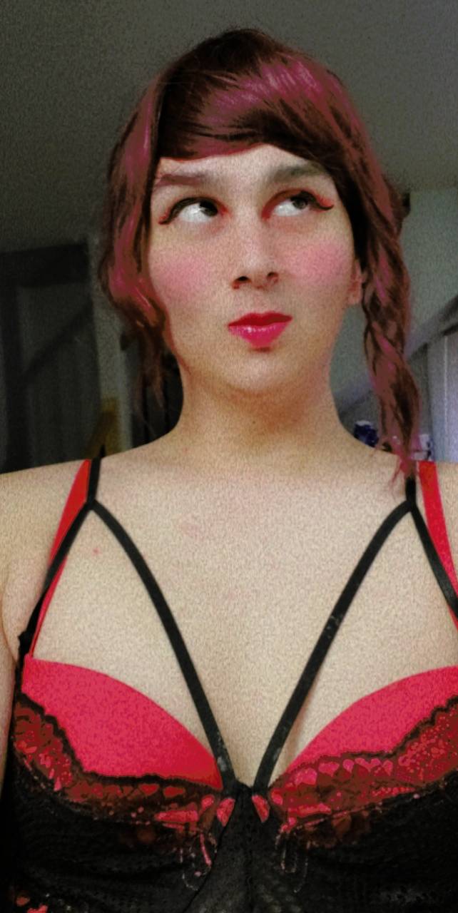 My camera sucks | Scrolller