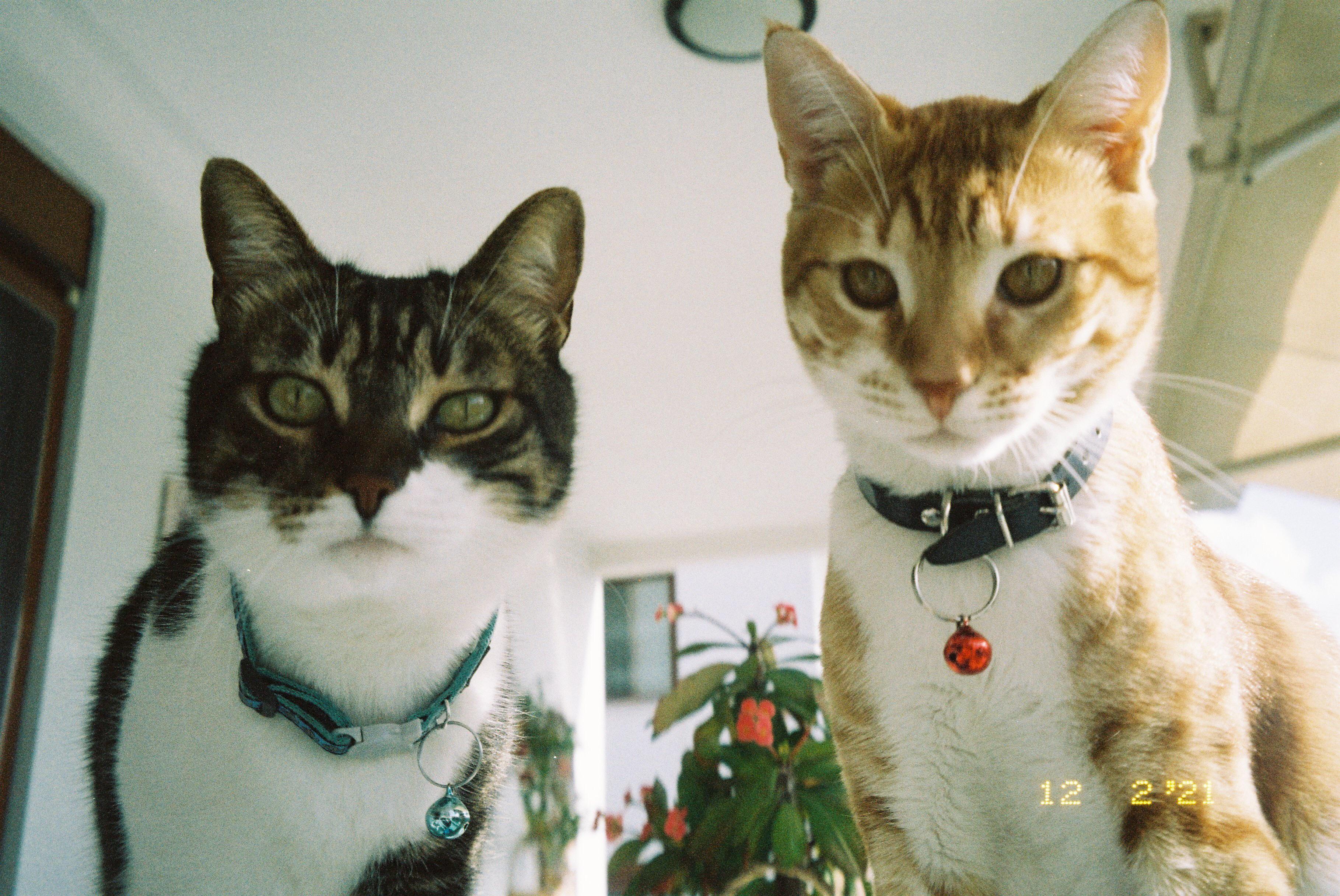 My Cool Kids ;) | Scrolller