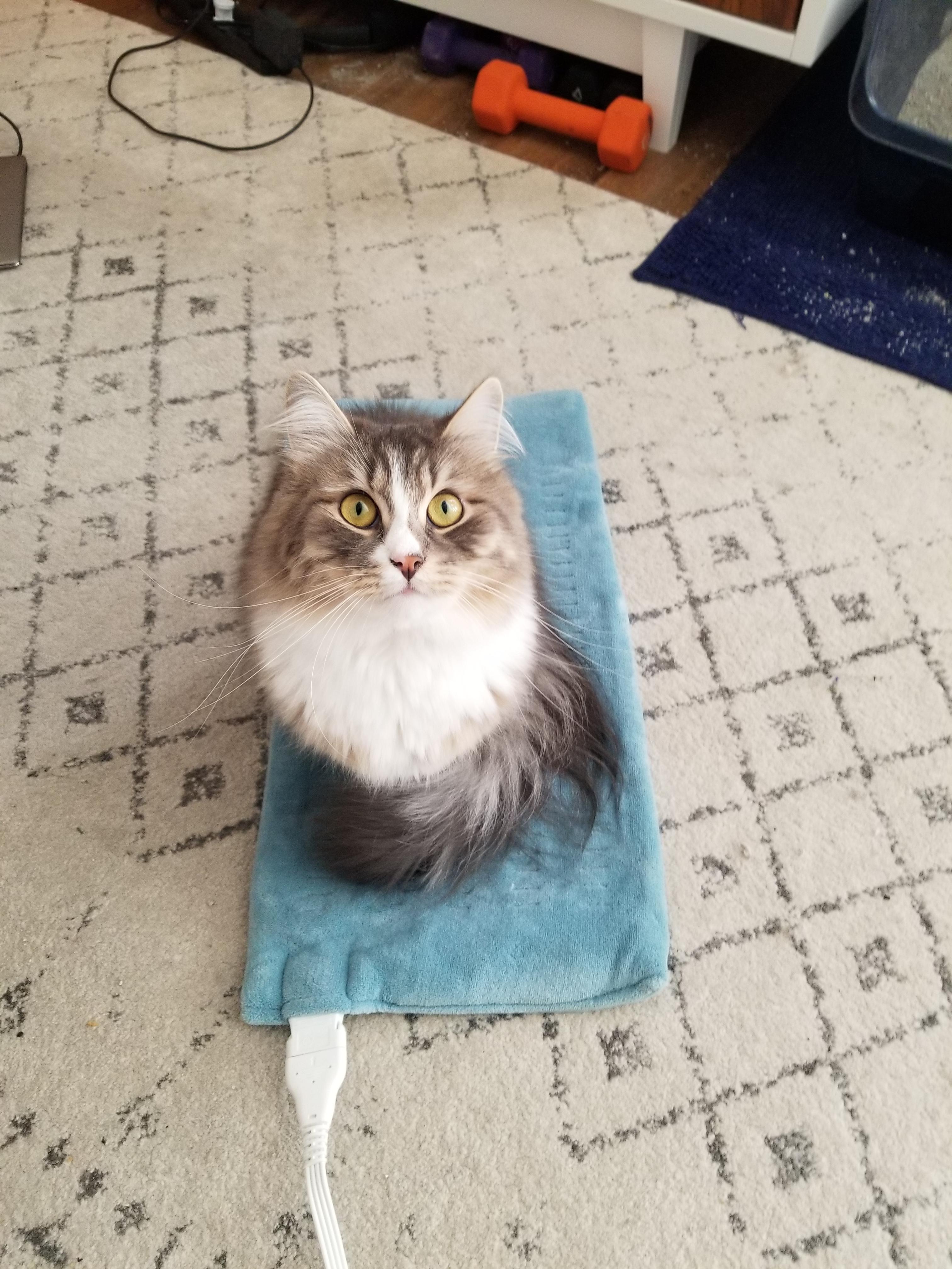 My Darling Boy Scrolller