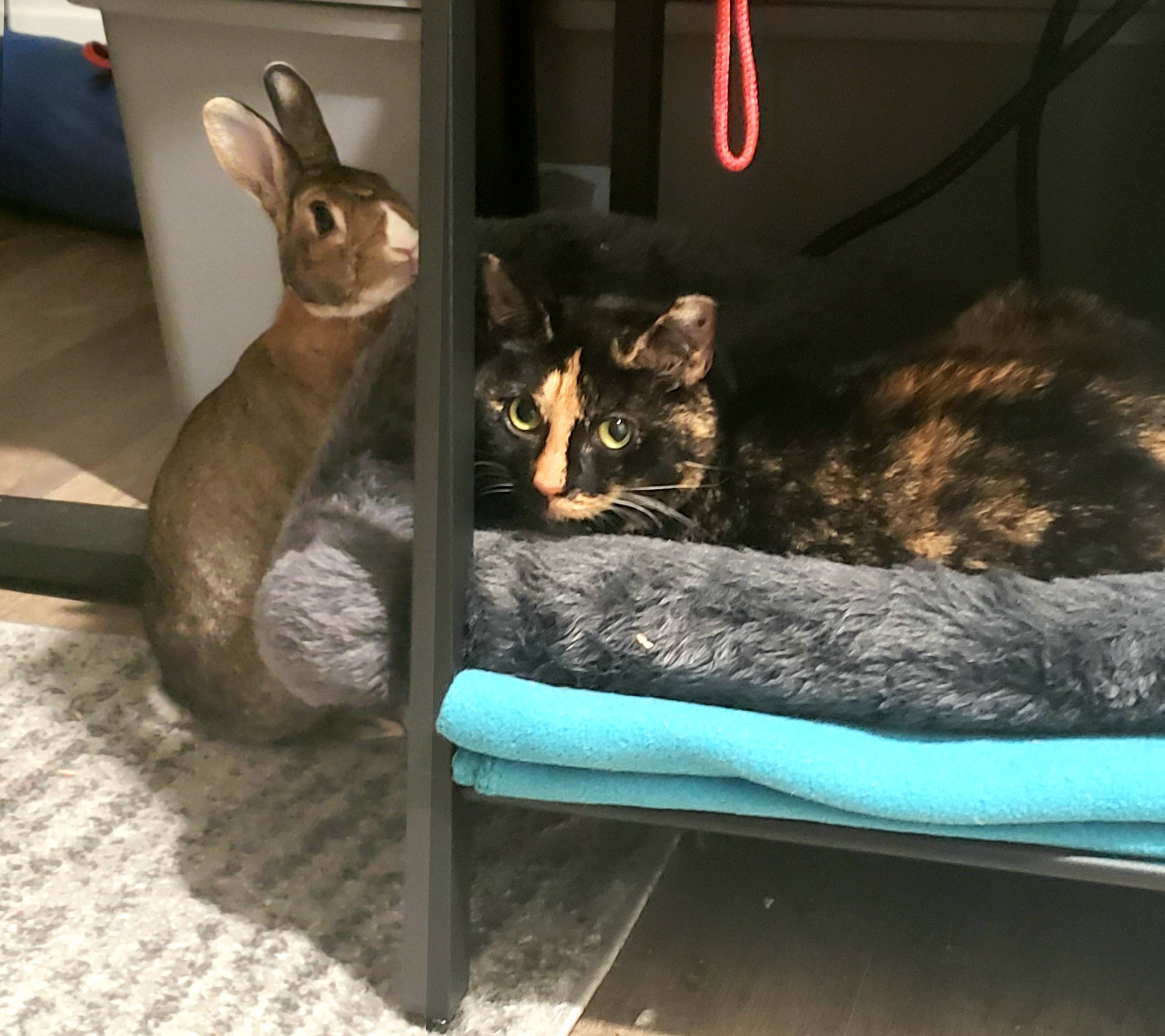 My dynamic duo | Scrolller