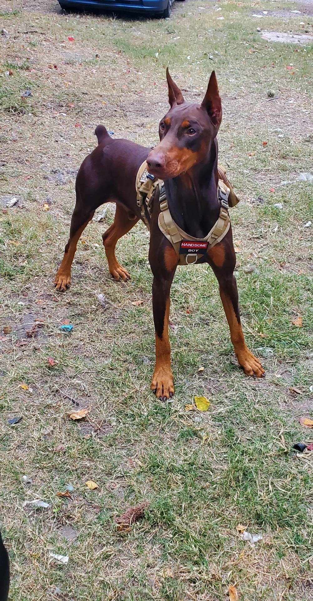 My handsome boy! | Scrolller