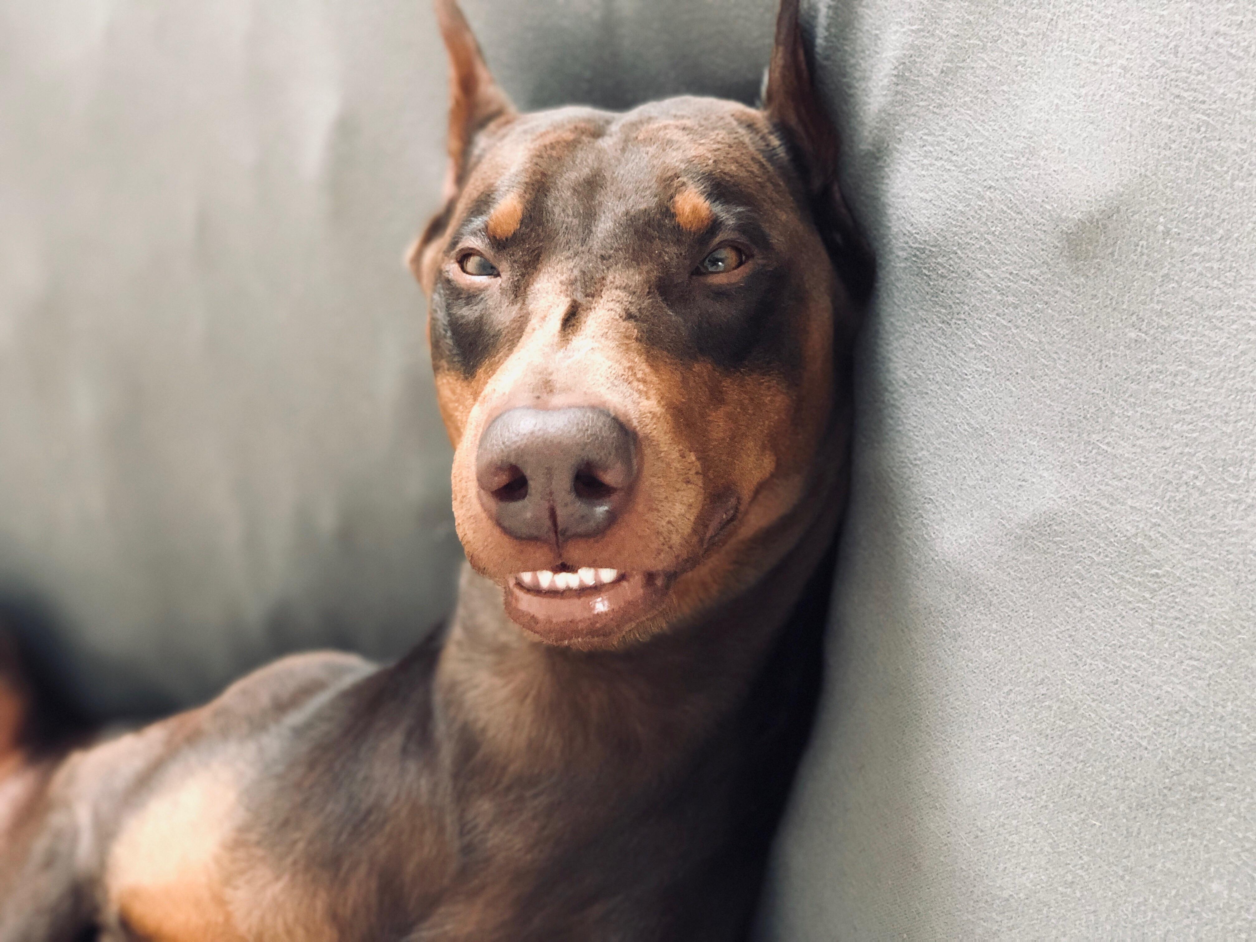 My handsome boy ☺️ | Scrolller