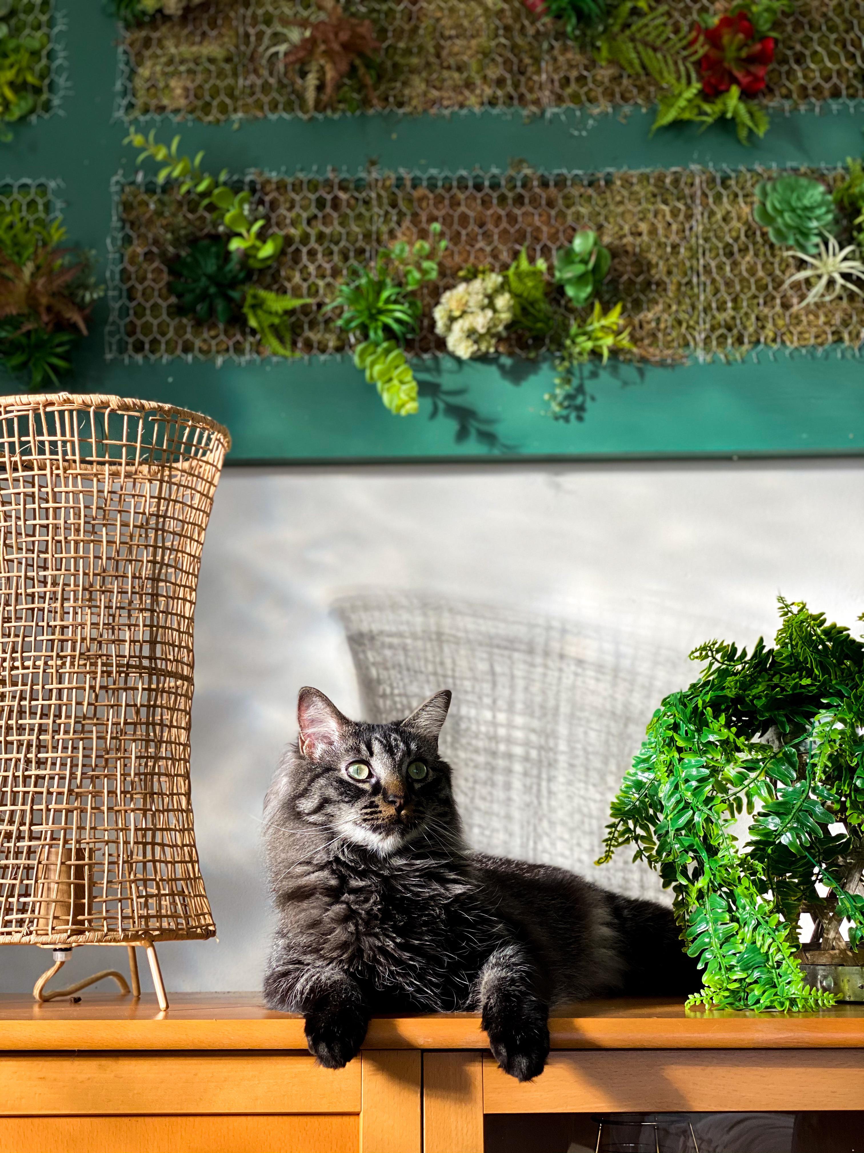 My handsome boy Wyatt | Scrolller