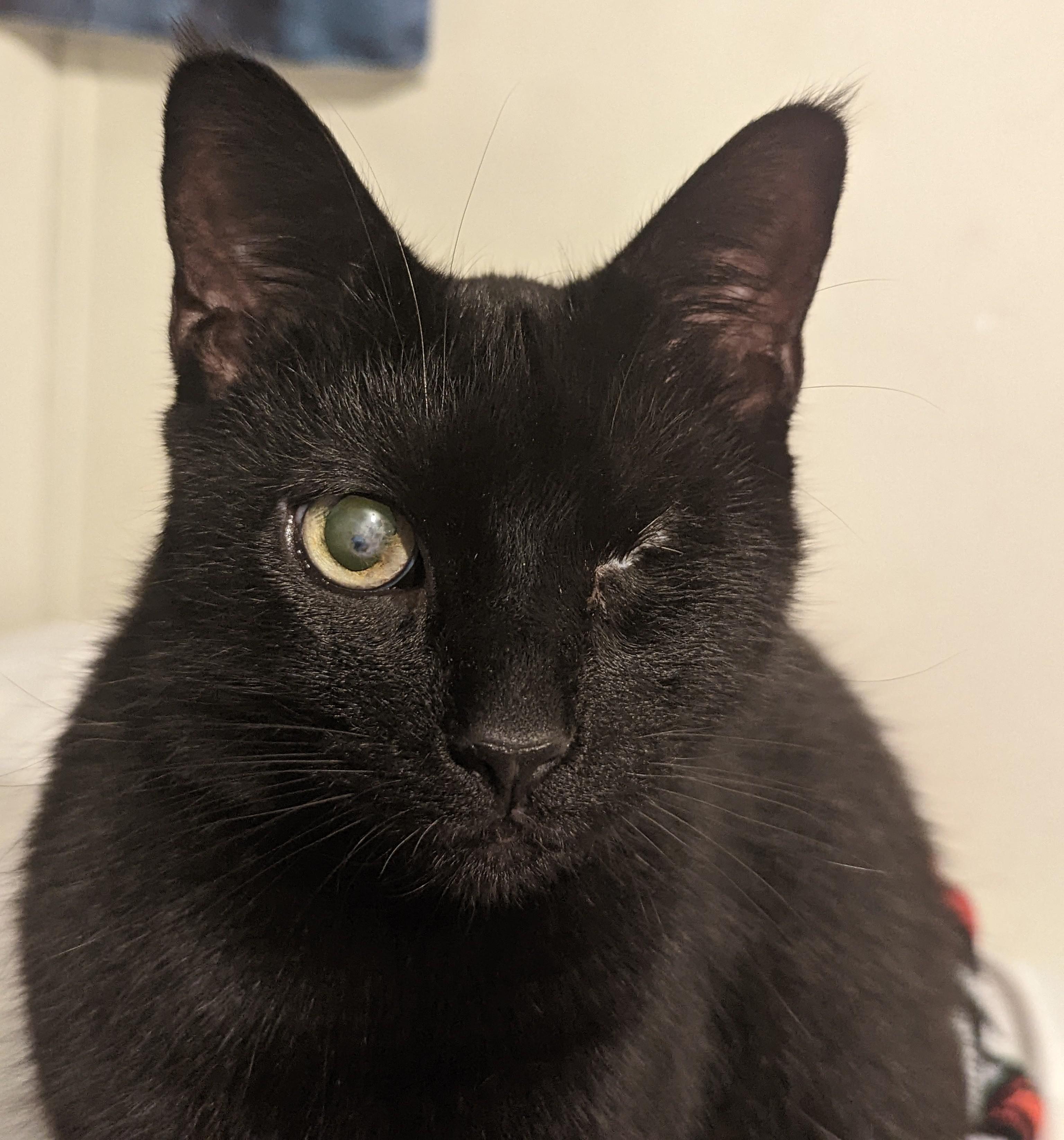 My handsome little man | Scrolller