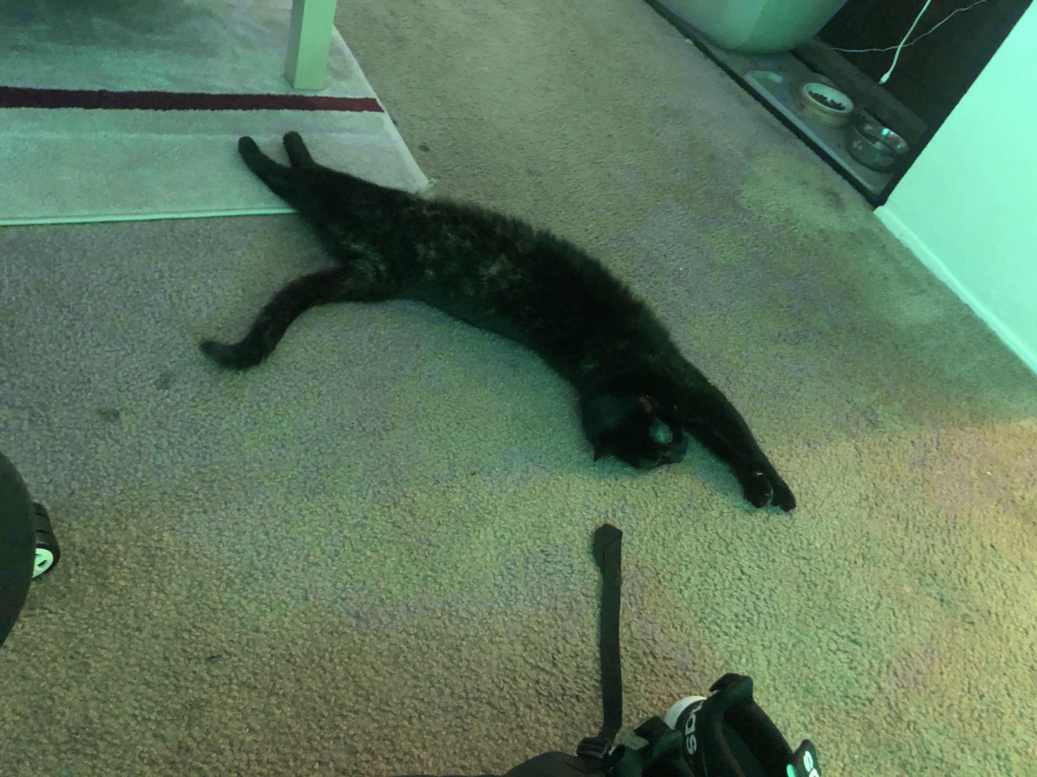 My incredibly long Mimi | Scrolller