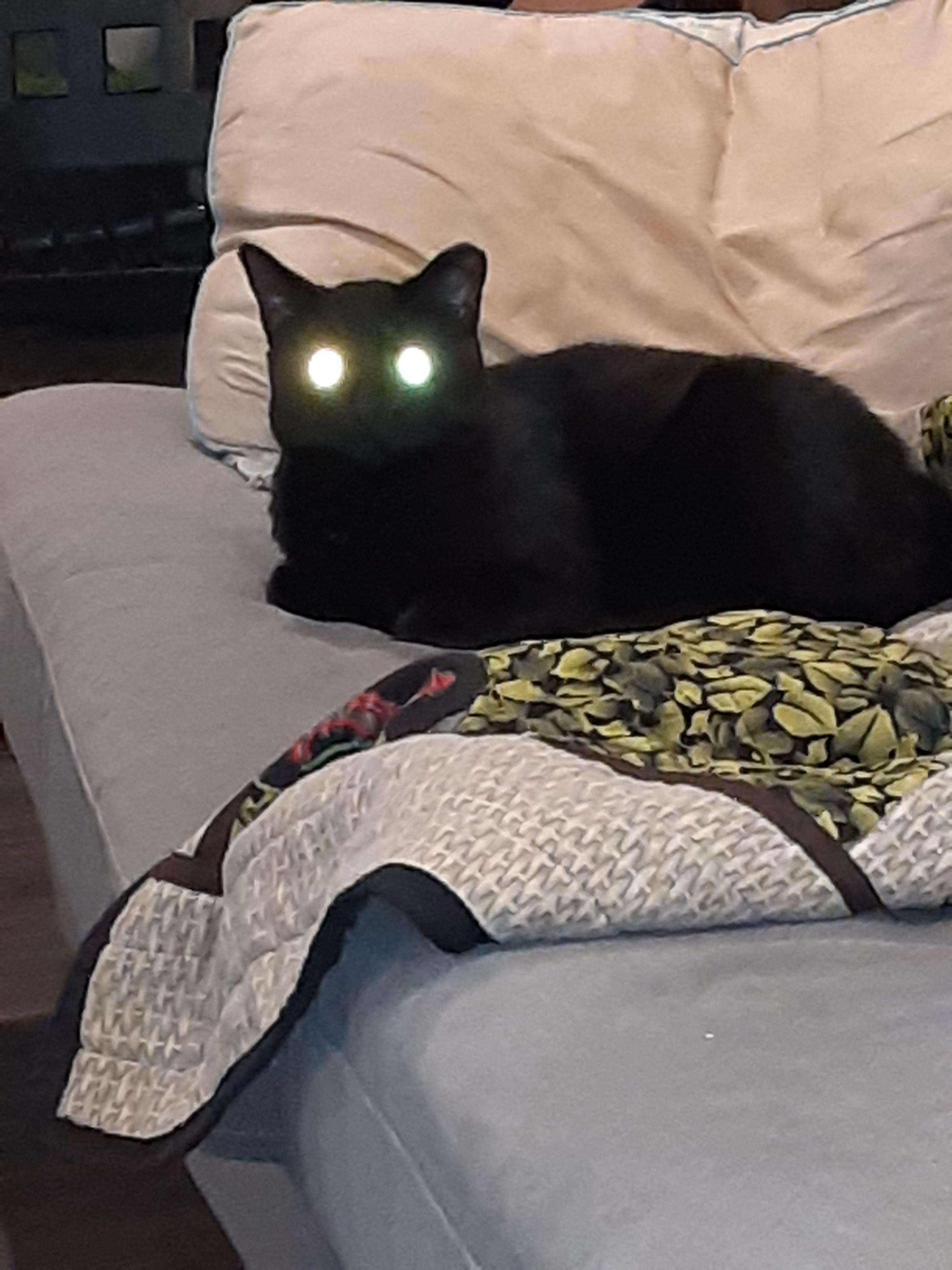 My laser void | Scrolller