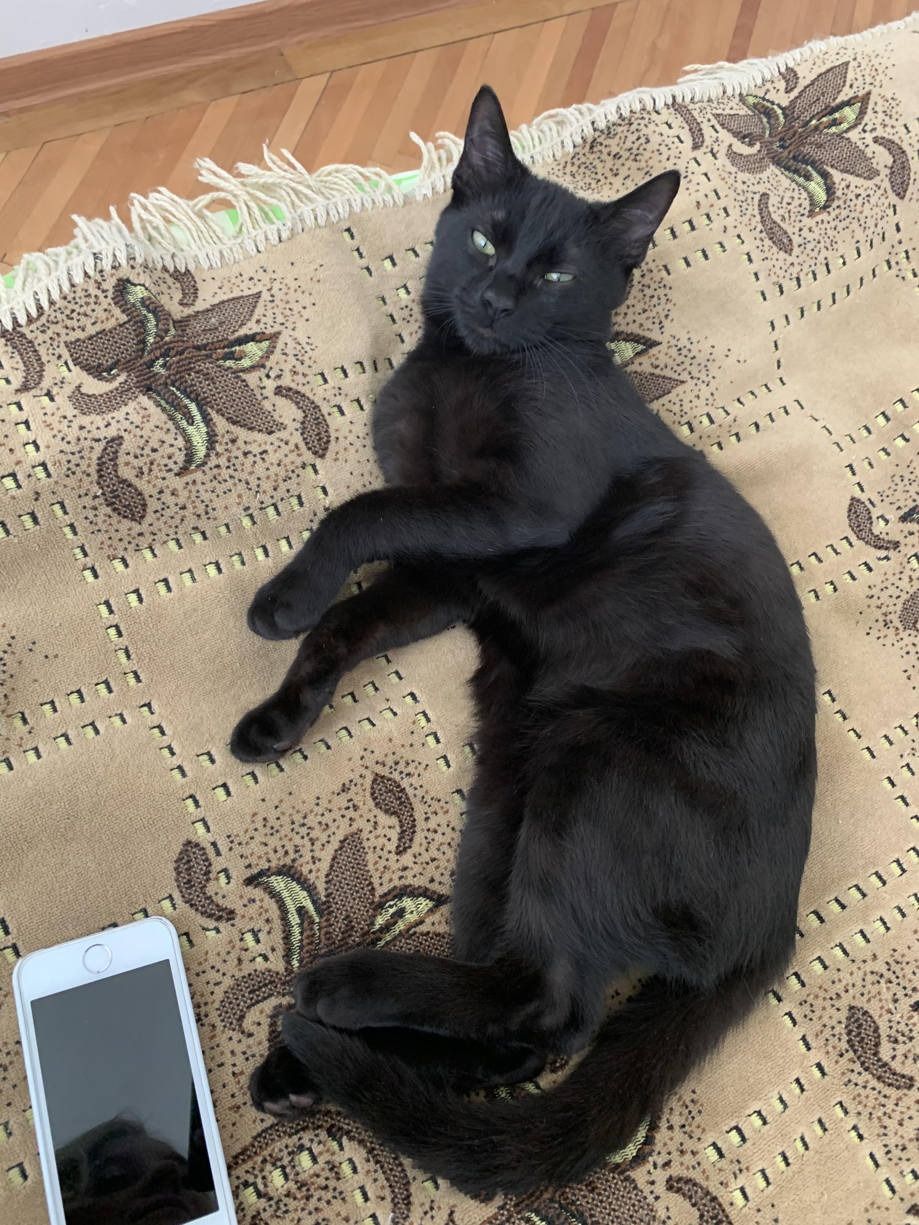 My little boy is growing a peanut | Scrolller