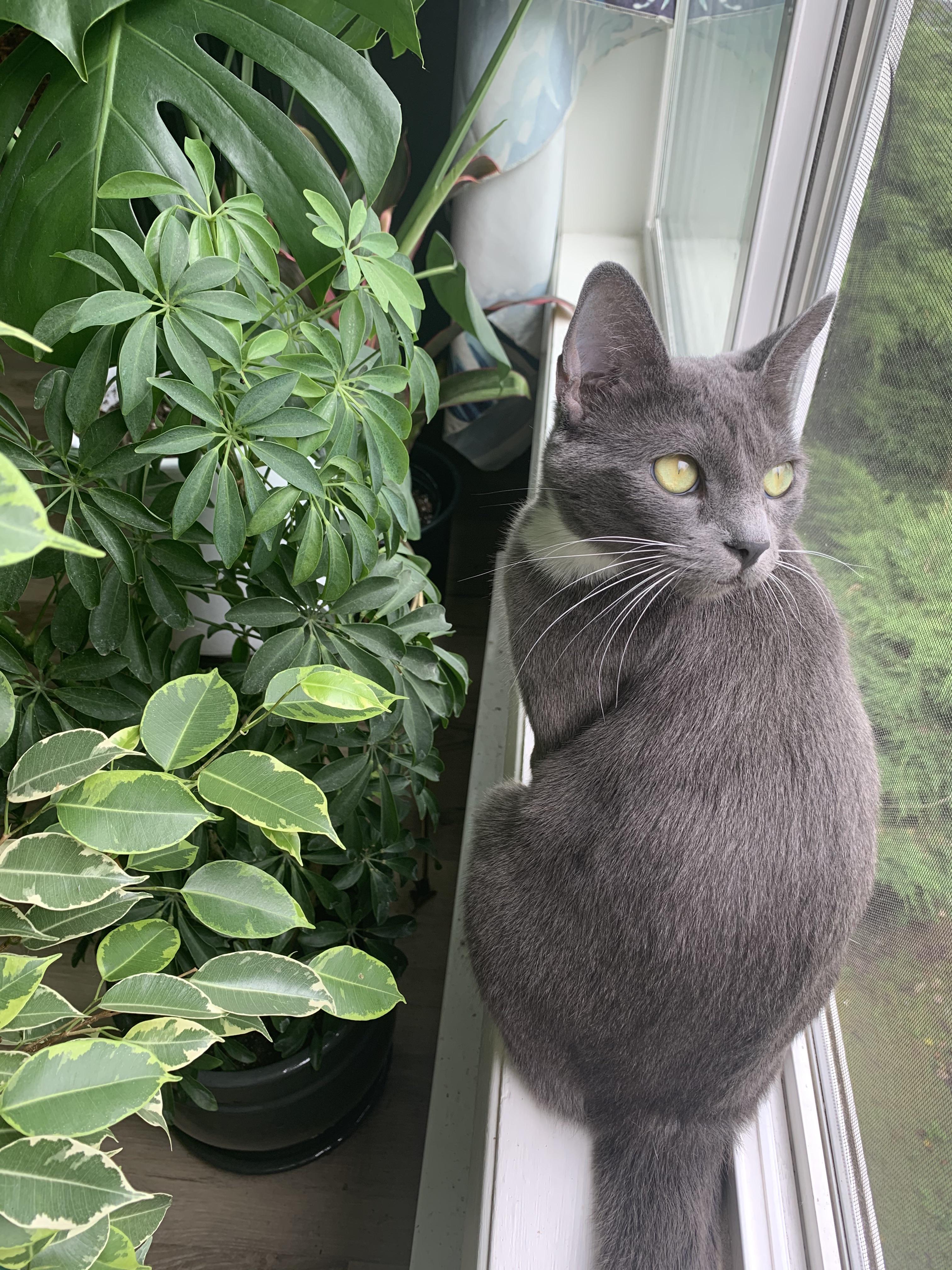 My little girl bird watching | Scrolller