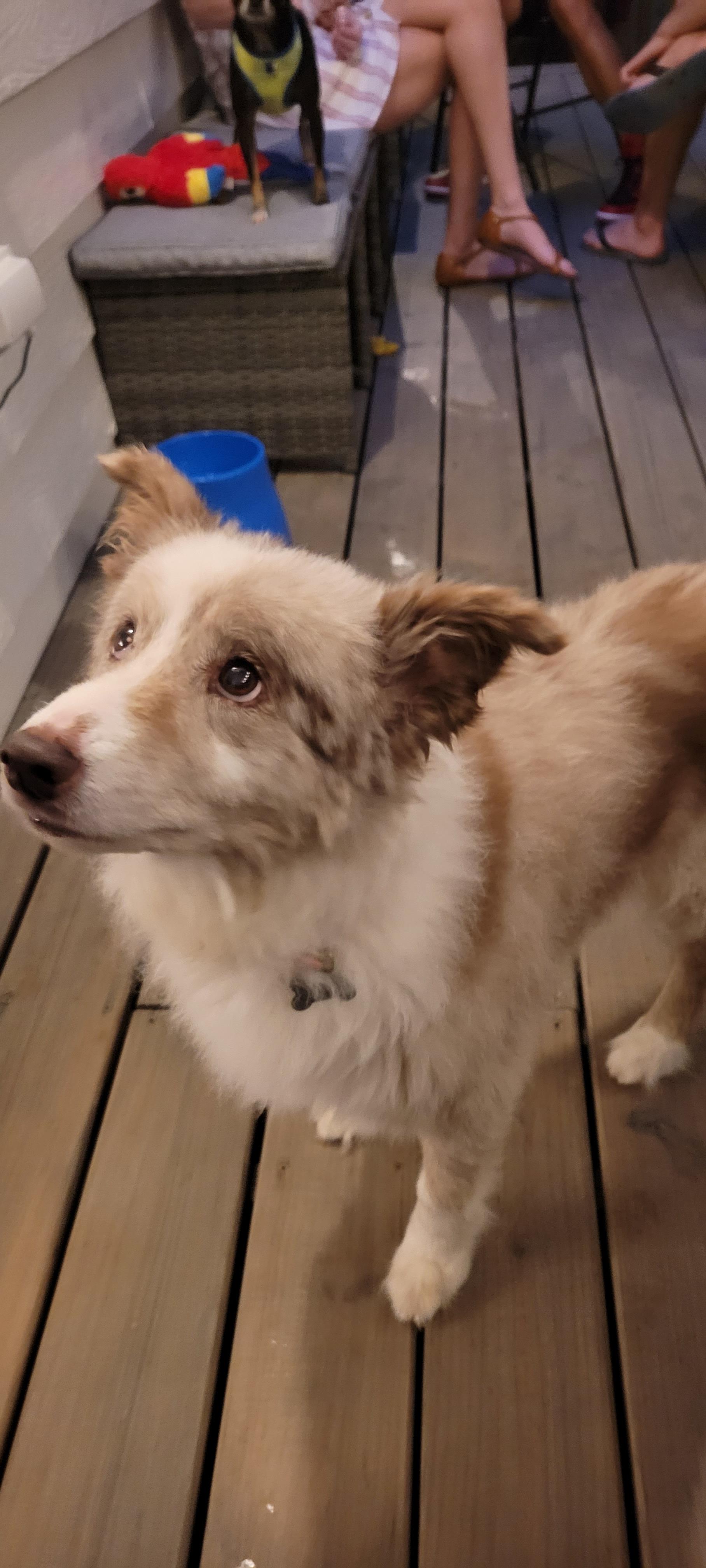 My Neighbors 20!! year old wiggle butt Nina. | Scrolller