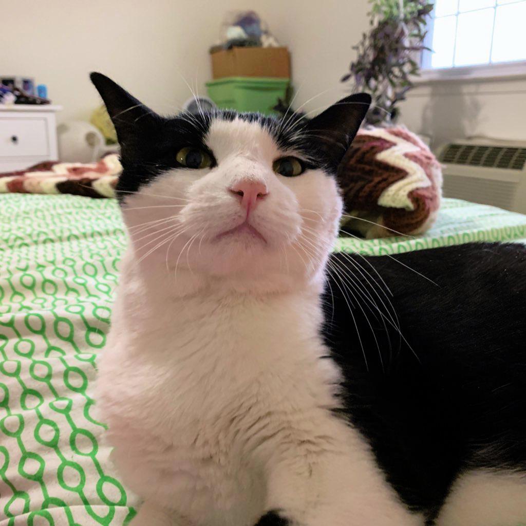 My new boy Frankie has mighty cute peanuts. | Scrolller