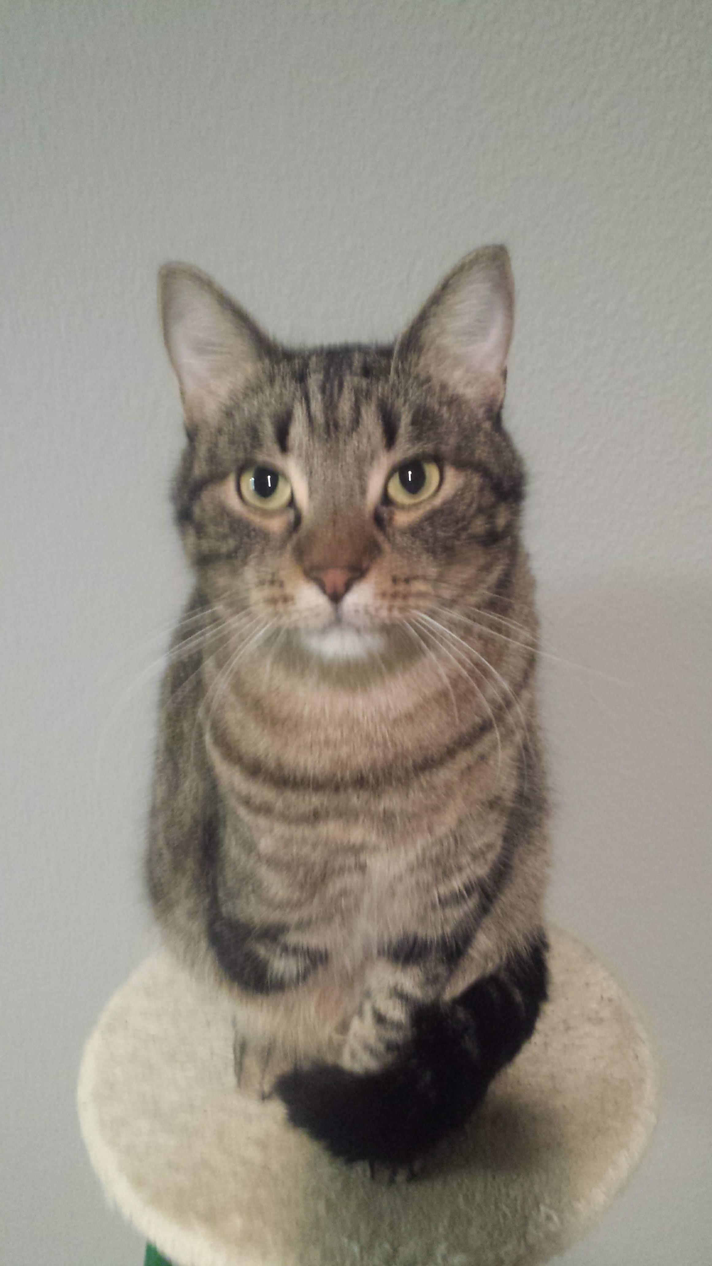 My one armed buckaneer Rupert! | Scrolller