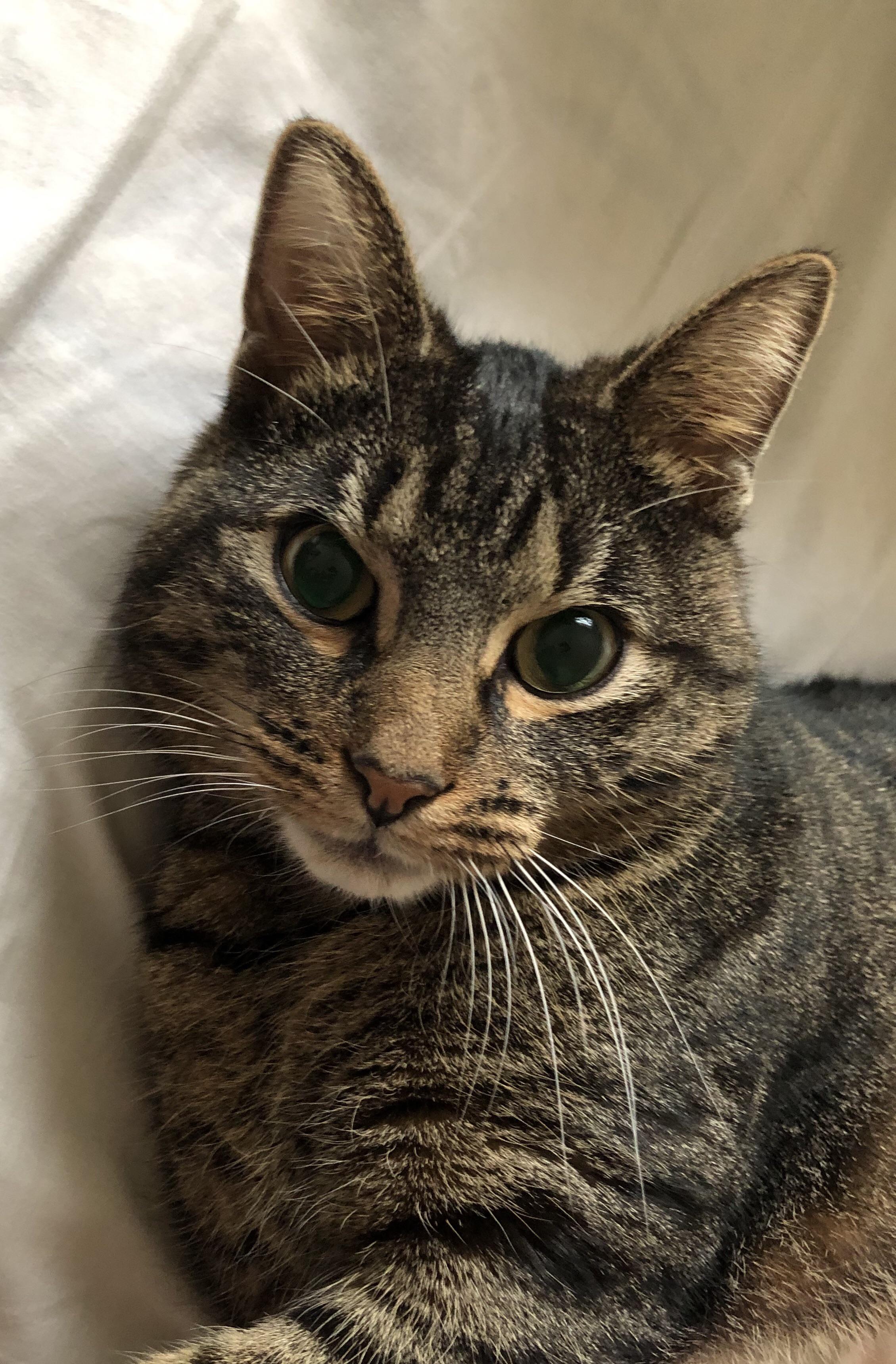 My pal Archie Goodwin | Scrolller