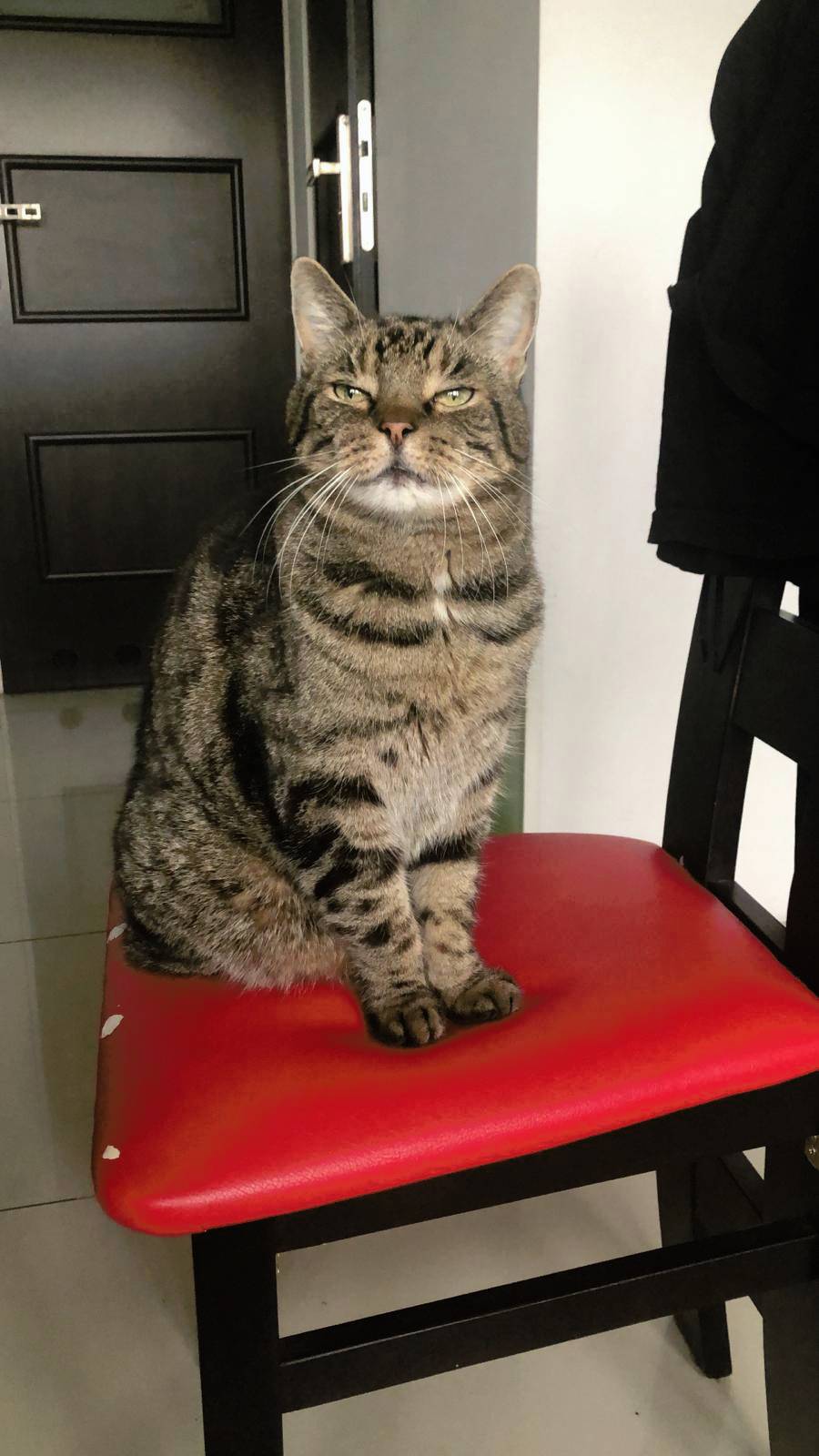 My peanut is not a fan of photos but that doesn’t stop me from taking them, even if he looks at ...