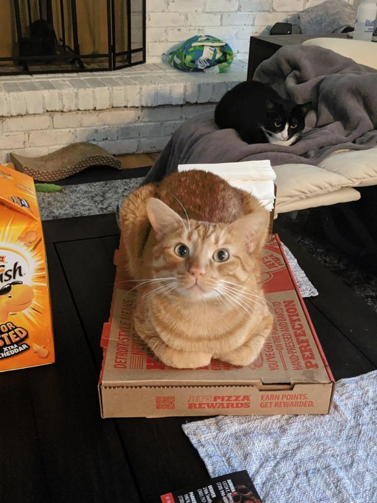 My pizza loaf (OC) | Scrolller