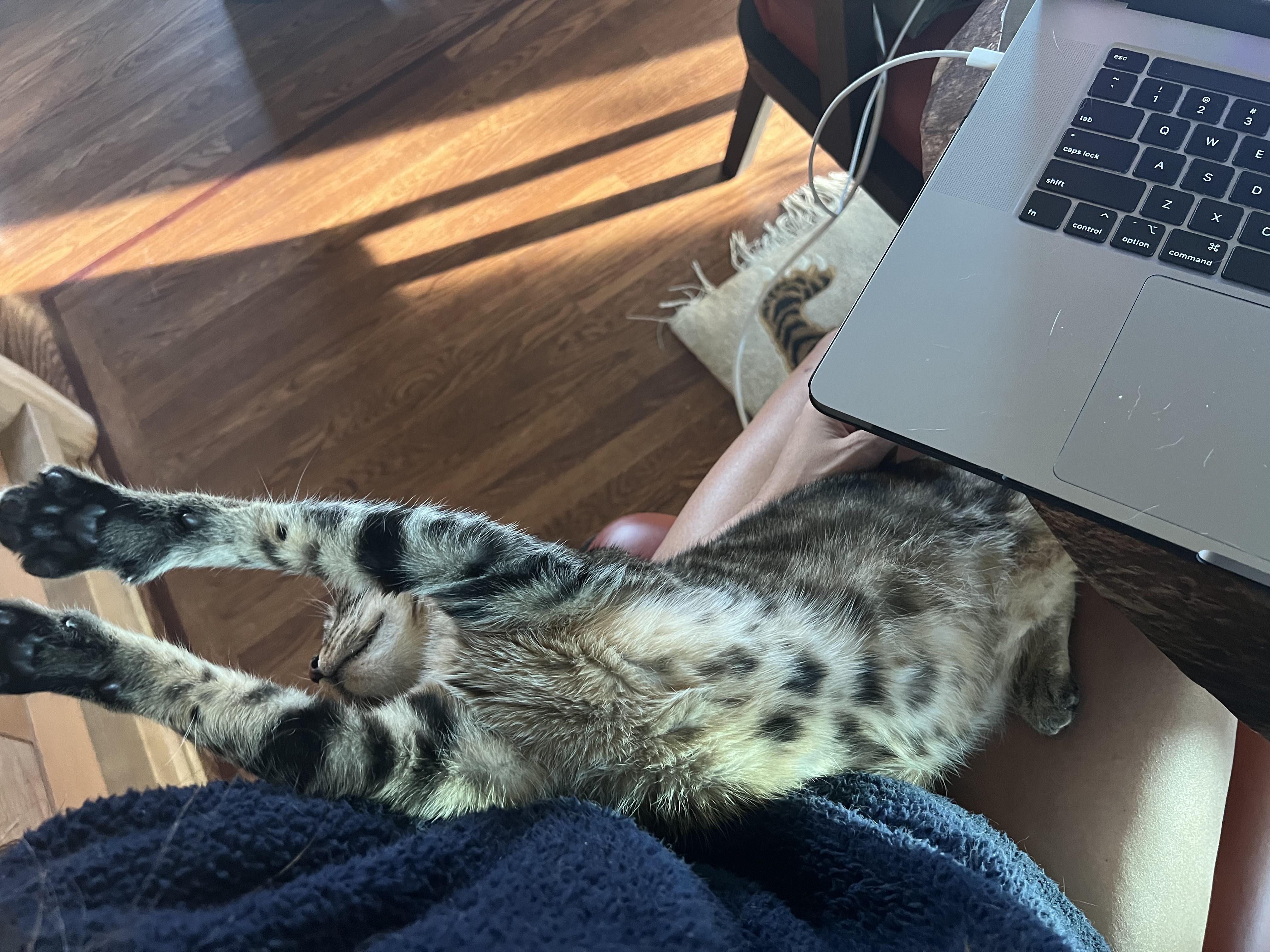 My secretary doing a long straightened feetsies after a hard days work! | Scrolller