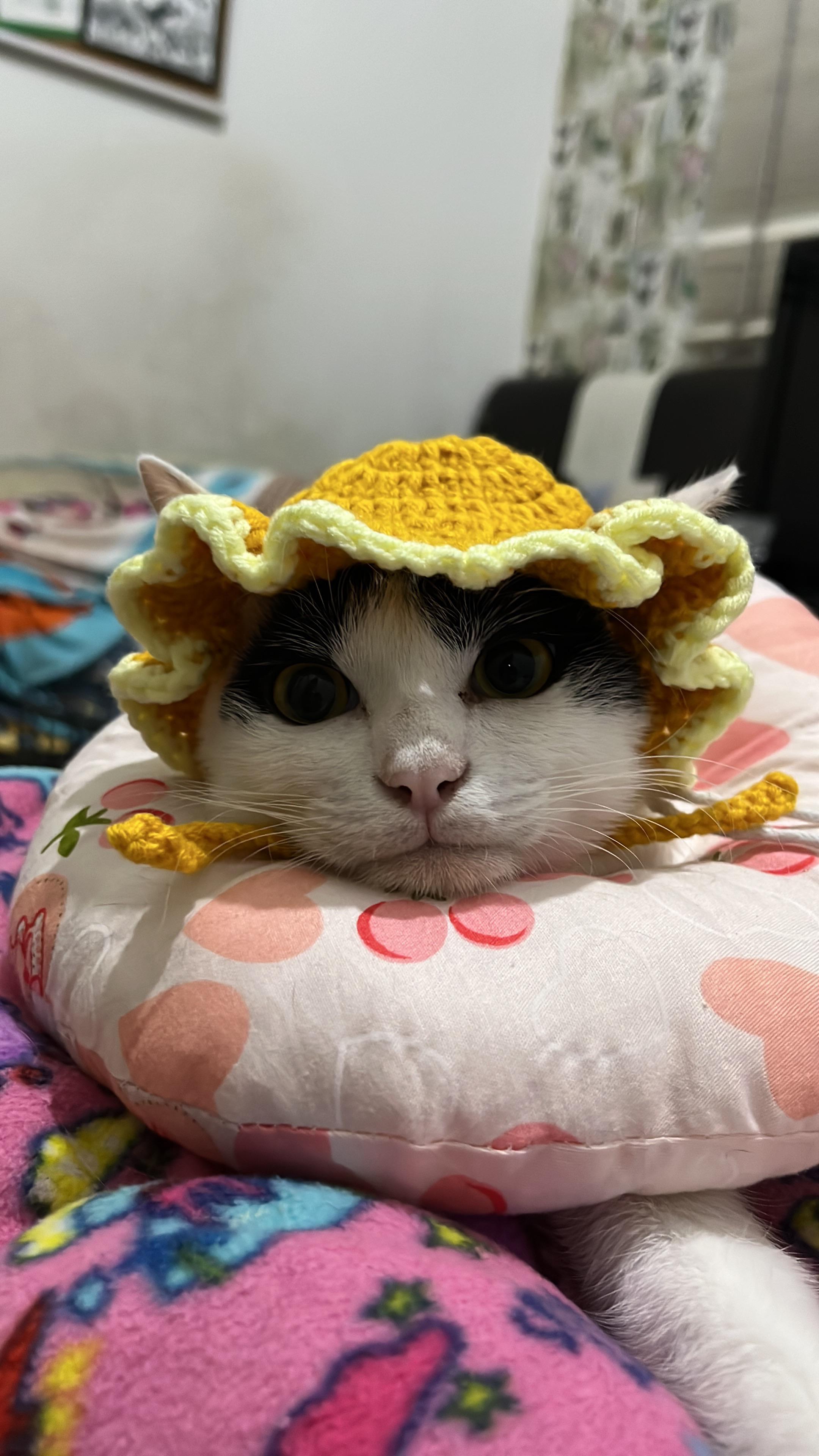 My very cute baby | Scrolller