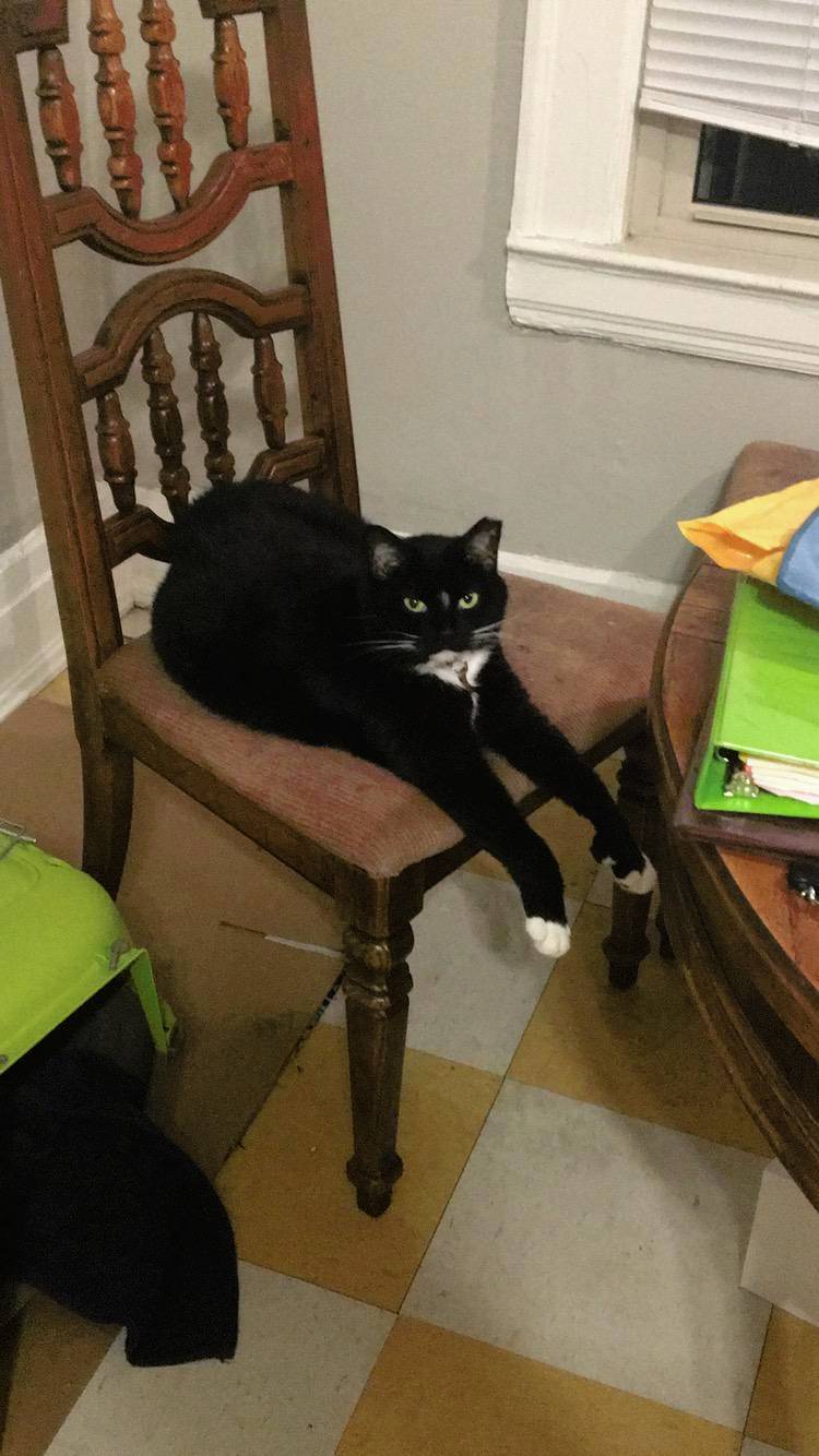 My weirdo | Scrolller