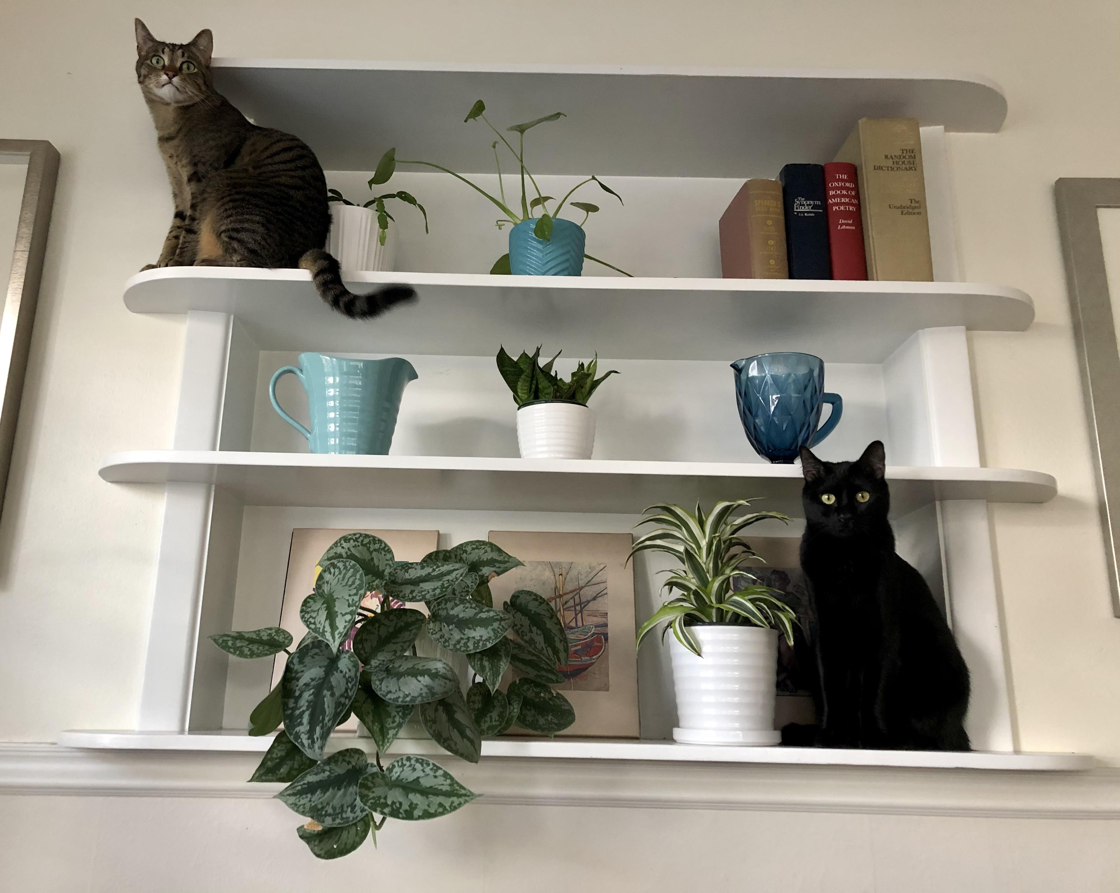 My Zoom background. | Scrolller