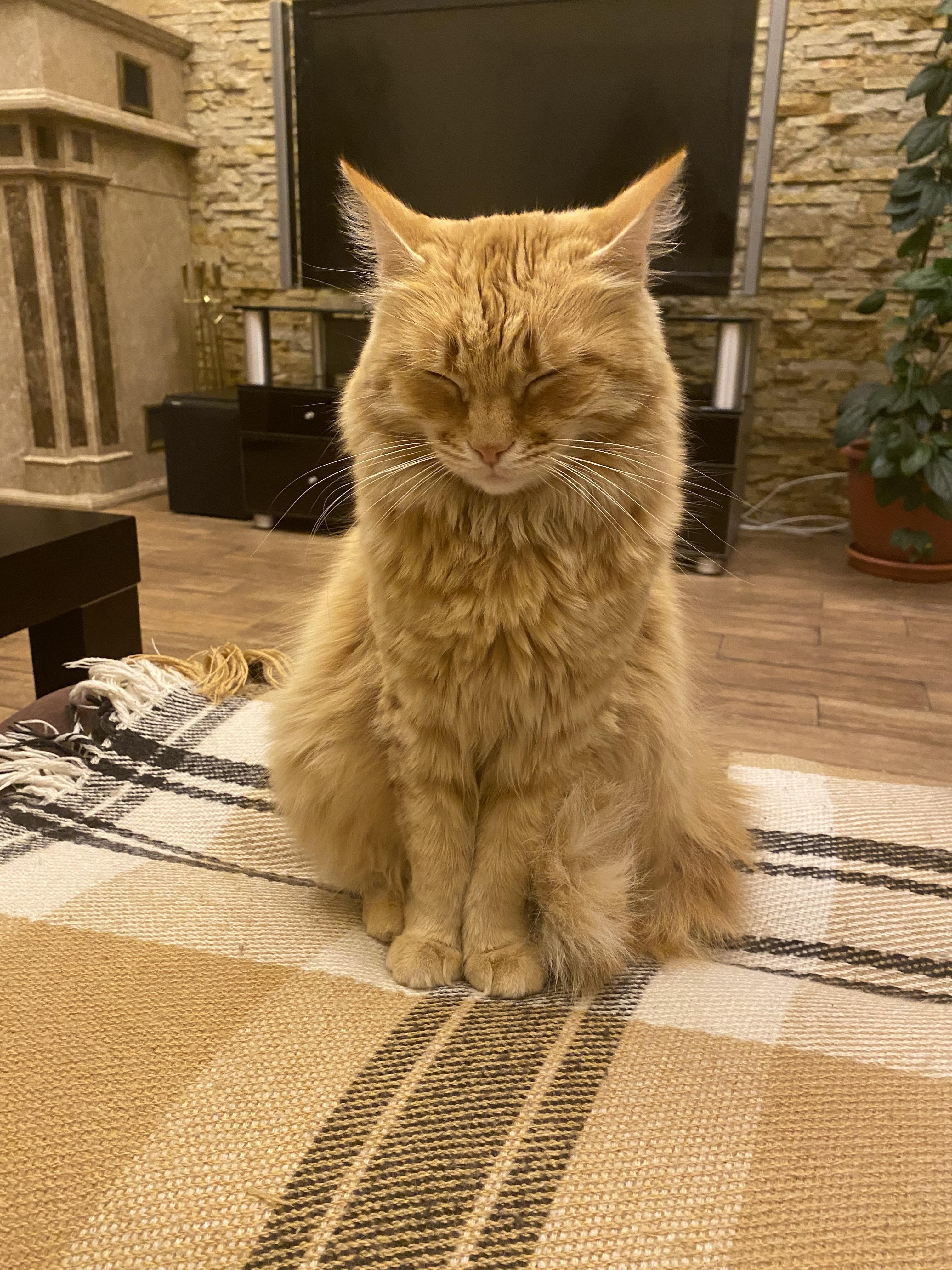 Nafanya is generating a brain cell... | Scrolller