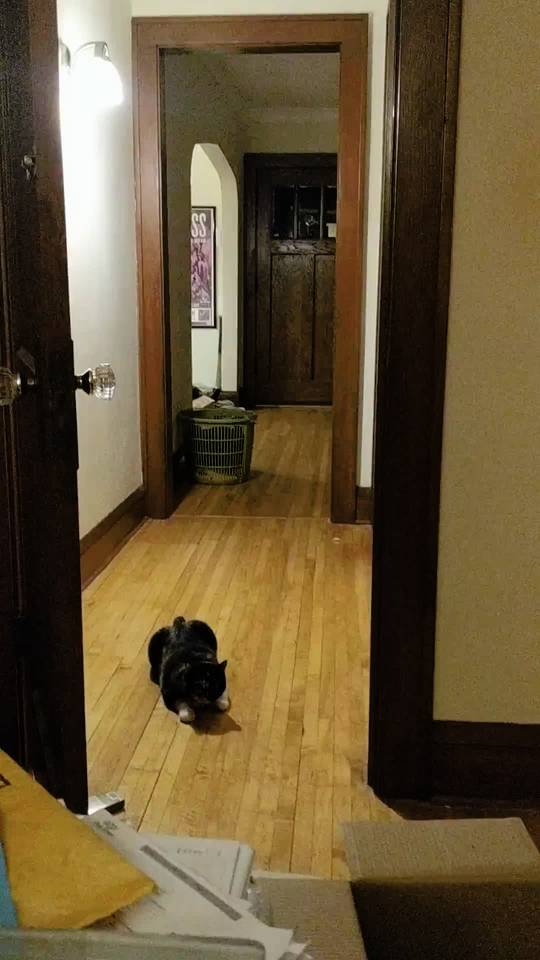 On a afternoon drive | Scrolller