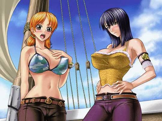 Nami or Robin. Who do you choose? | Scrolller