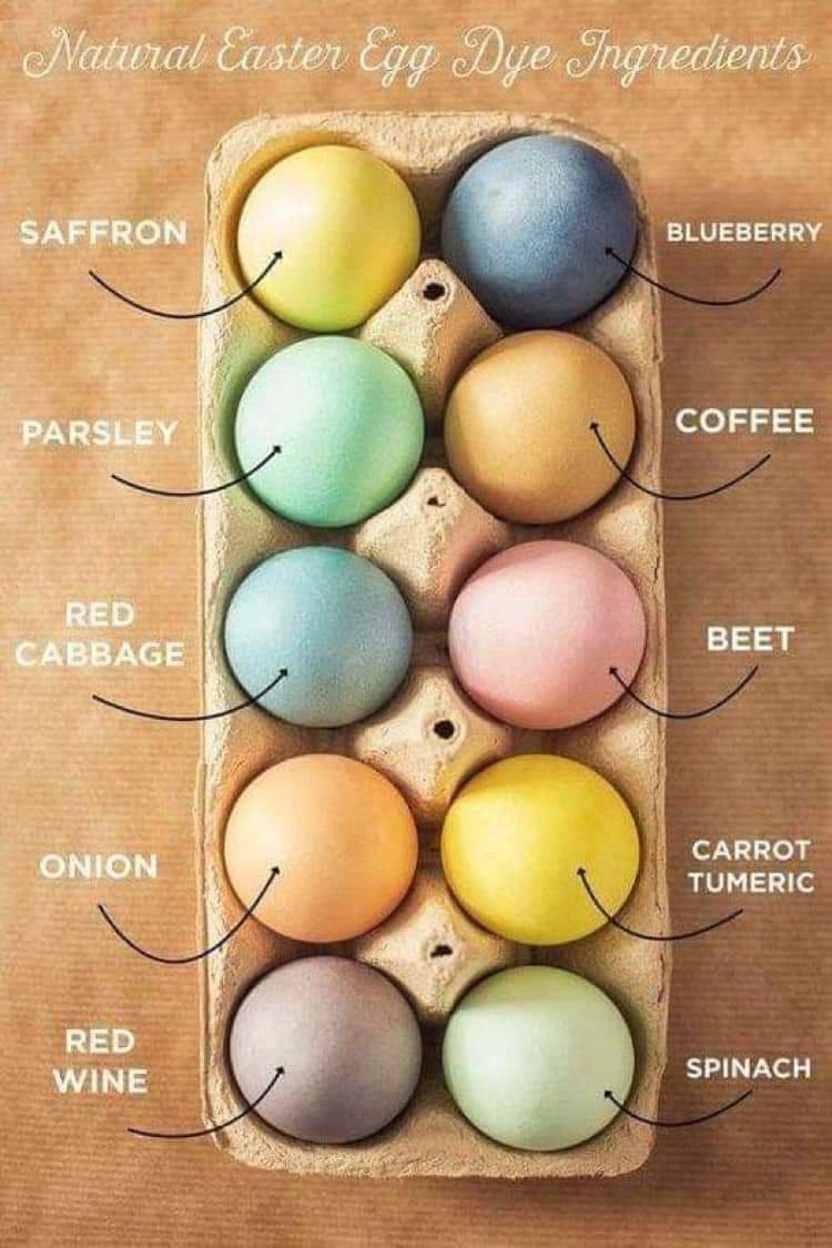Natural Ingredients Easter Egg Dye Color Chart | Scrolller