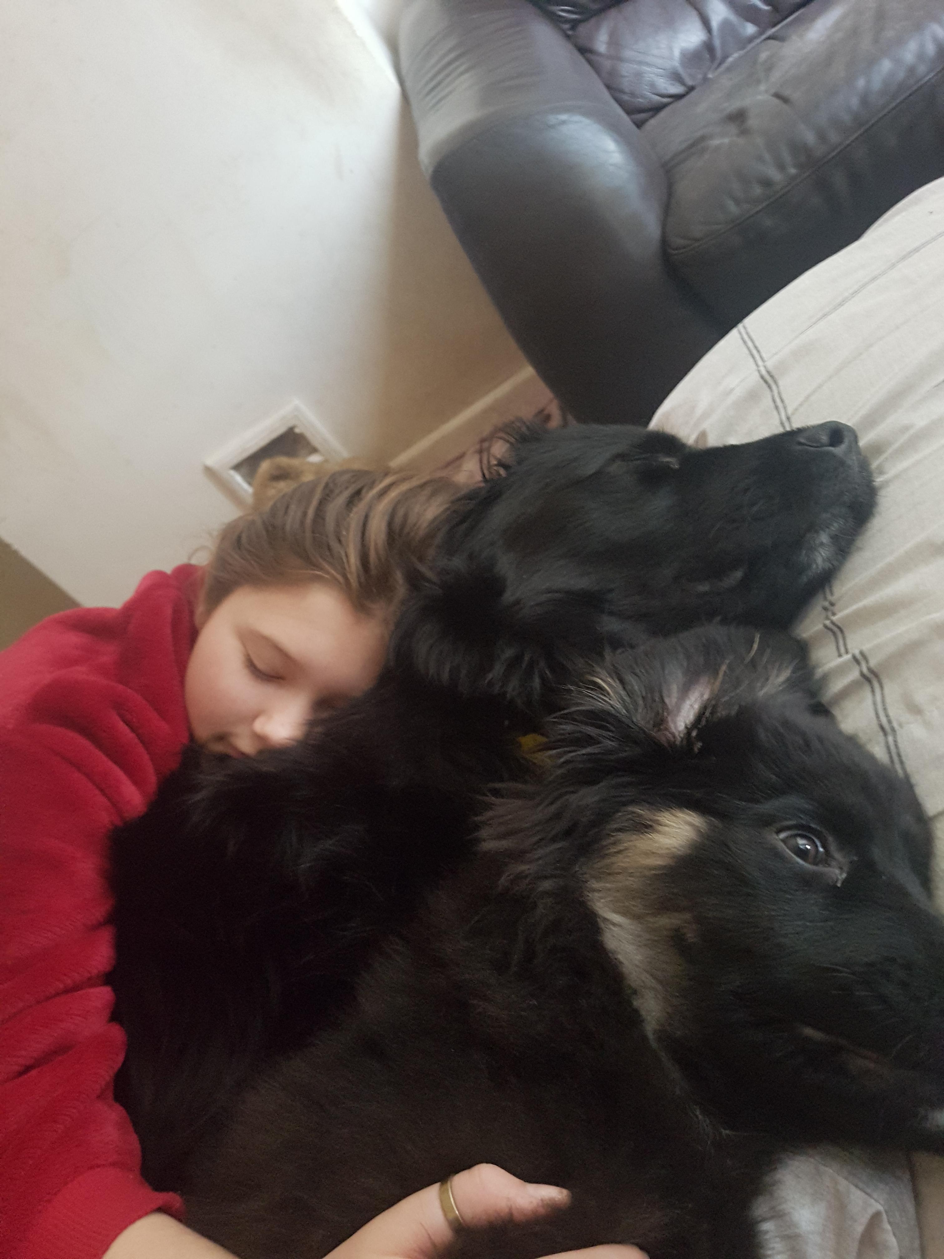 Newfie love! My 2 girls and my daughter all snuggled. | Scrolller