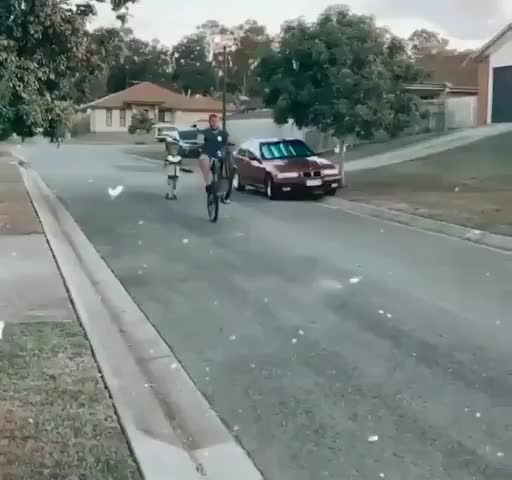 Nice move | Scrolller