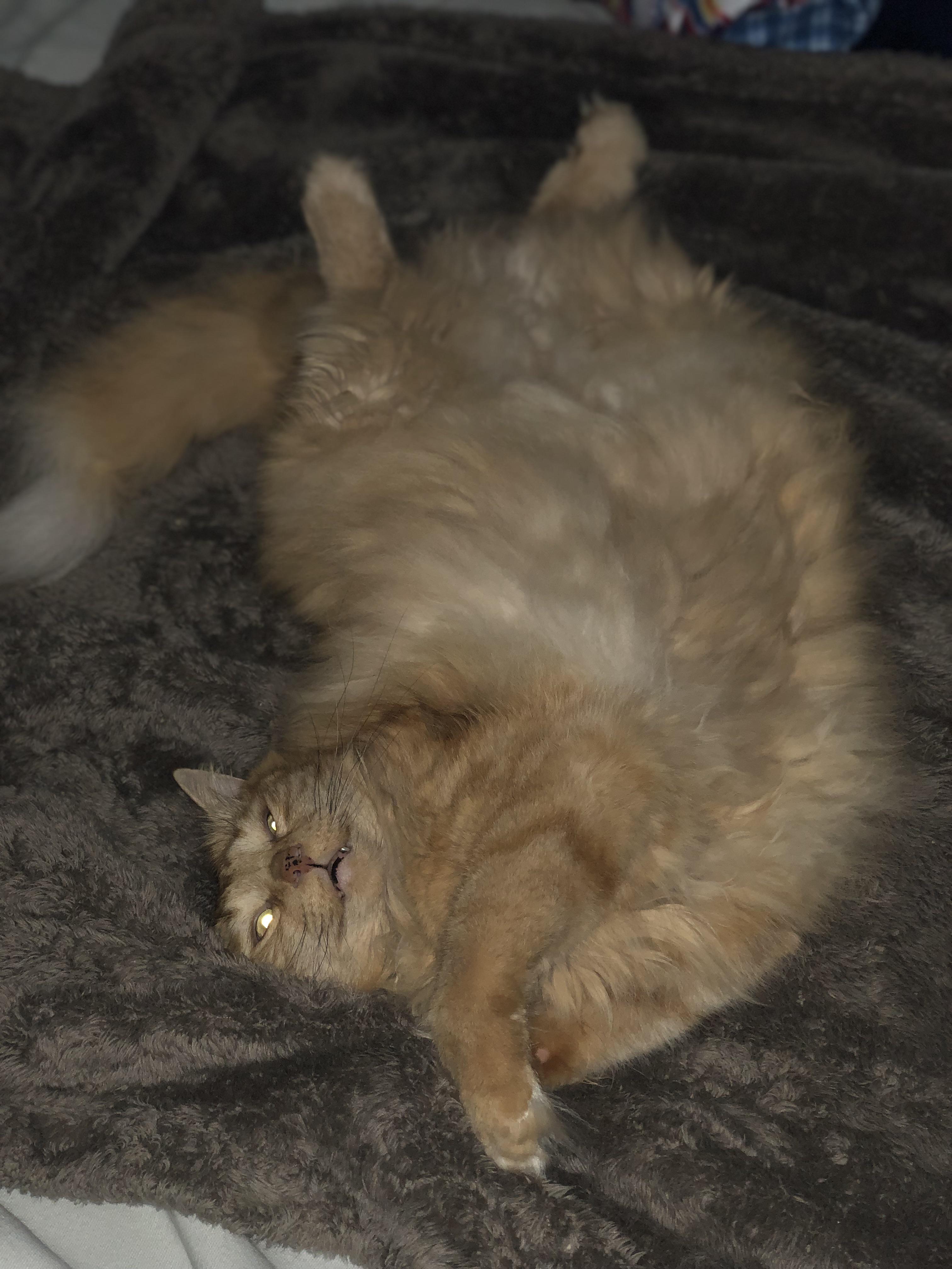 Night vision time 😎 | Scrolller