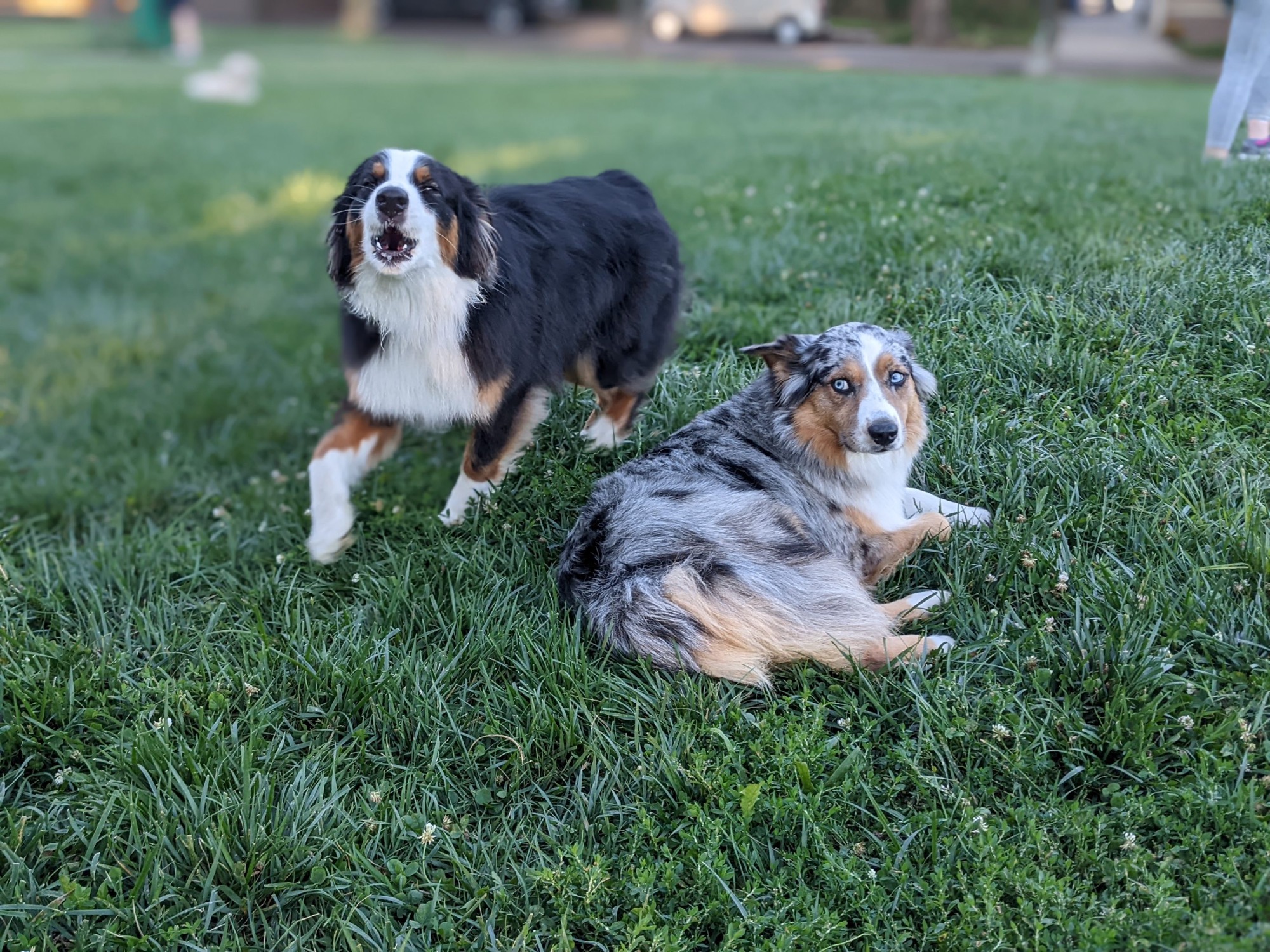 No photos please | Scrolller