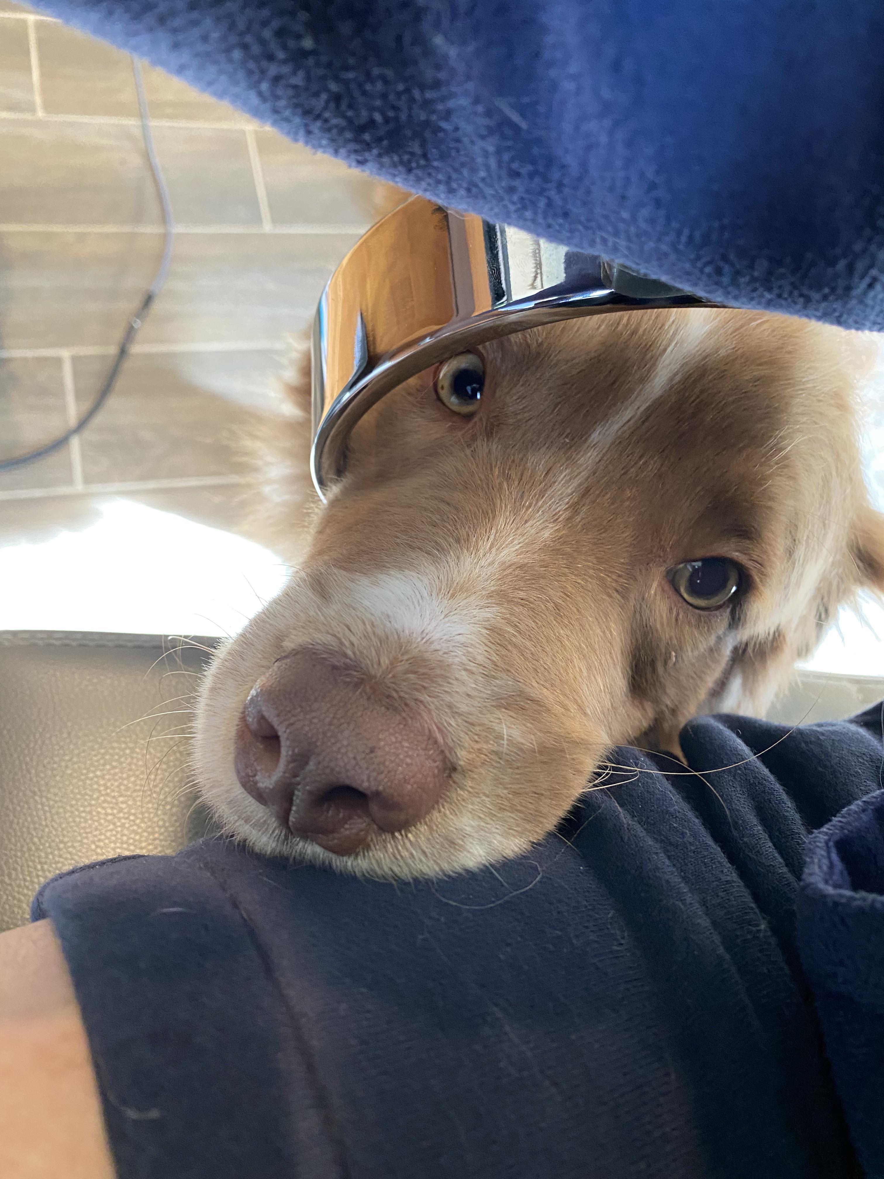 No Work. Only Play. | Scrolller