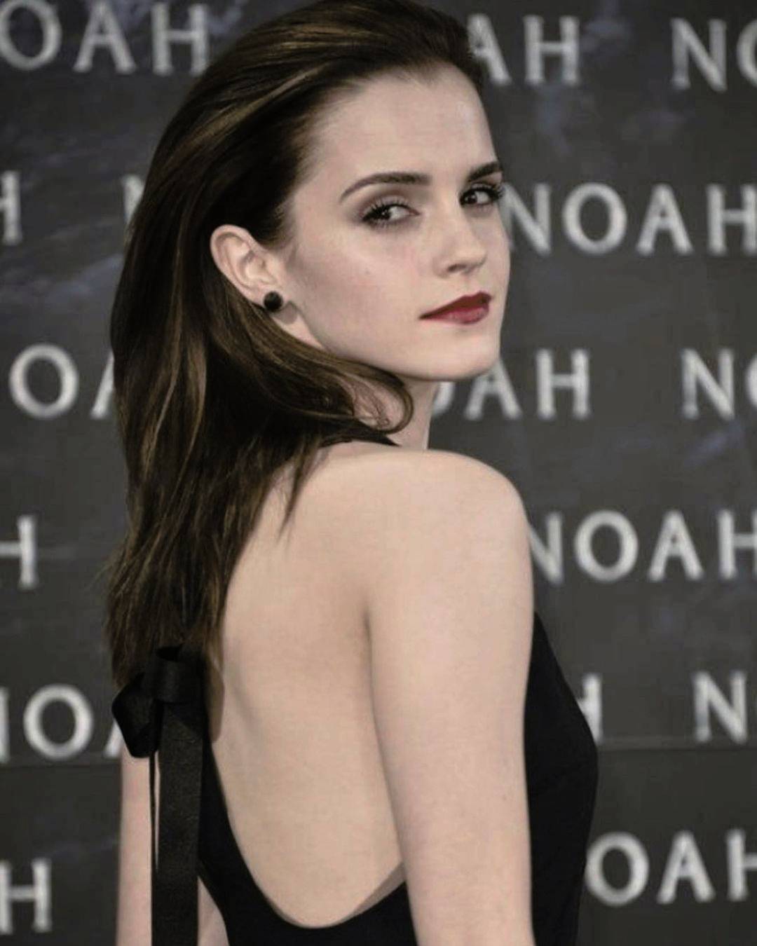 Noah Premiere (dark theme) | Scrolller