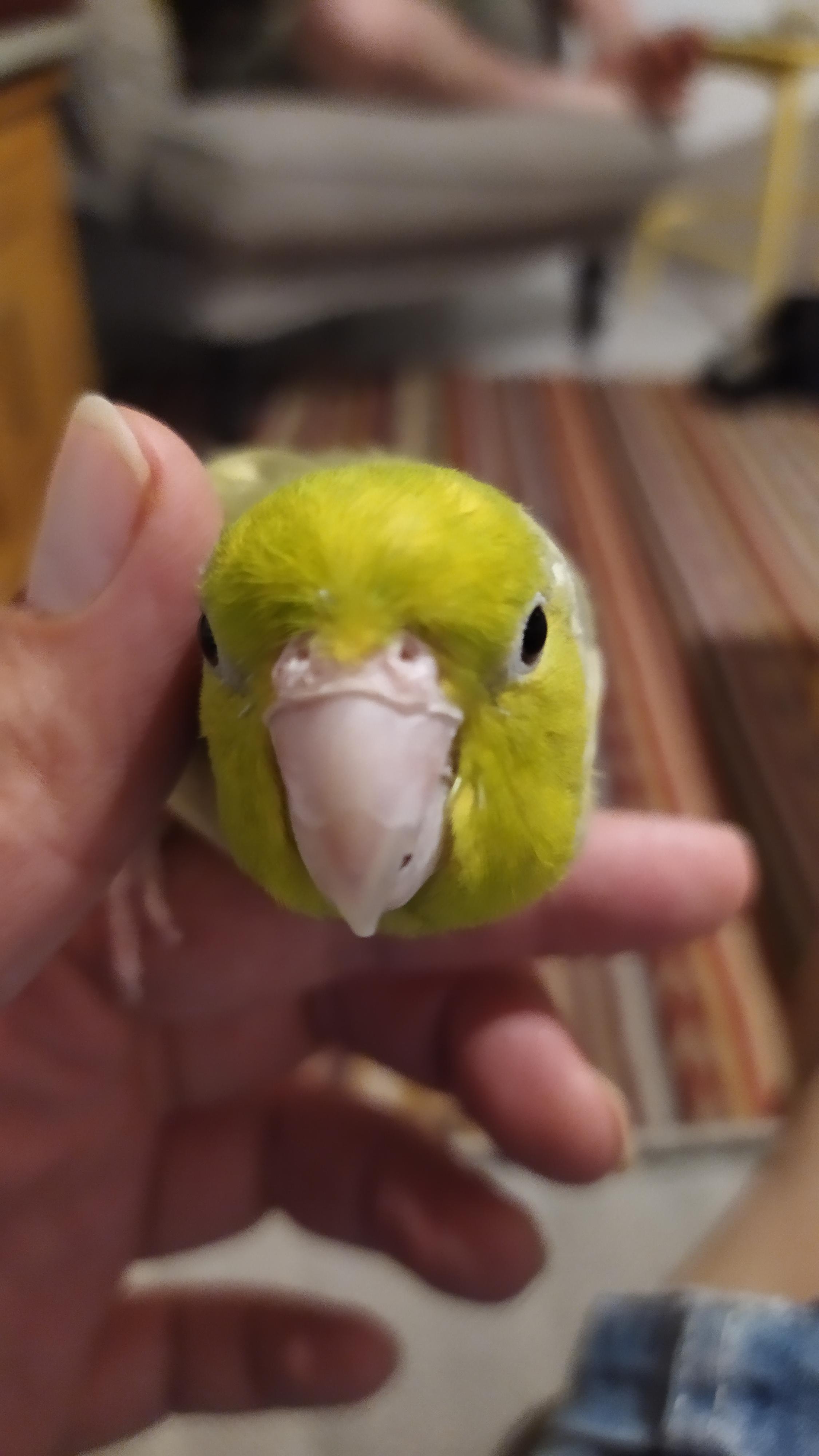 Nosey boy want a closer look at the camera | Scrolller