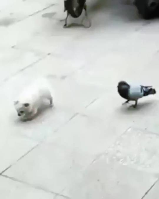 Nothing better on a long drive than some road head | Scrolller