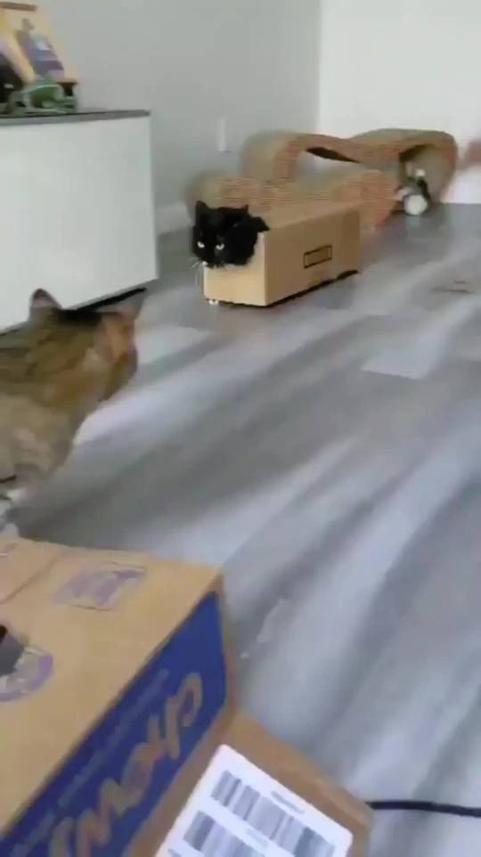 Nothing to see here… move along | Scrolller