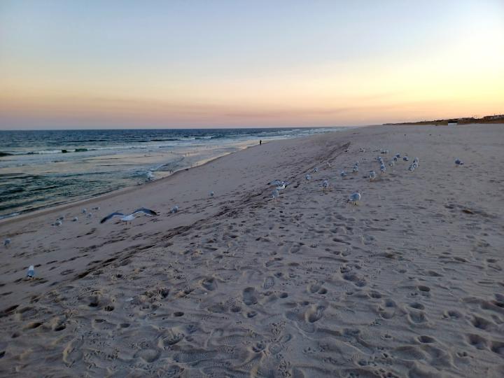 [OC] Seaside NJ | Scrolller