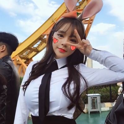 Office bunny | Scrolller