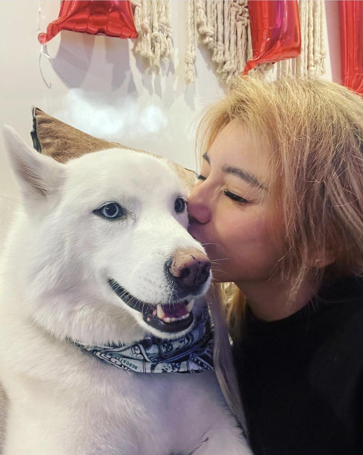 Olaf turned 7! Lucky 777! 🐶🎂 | Scrolller