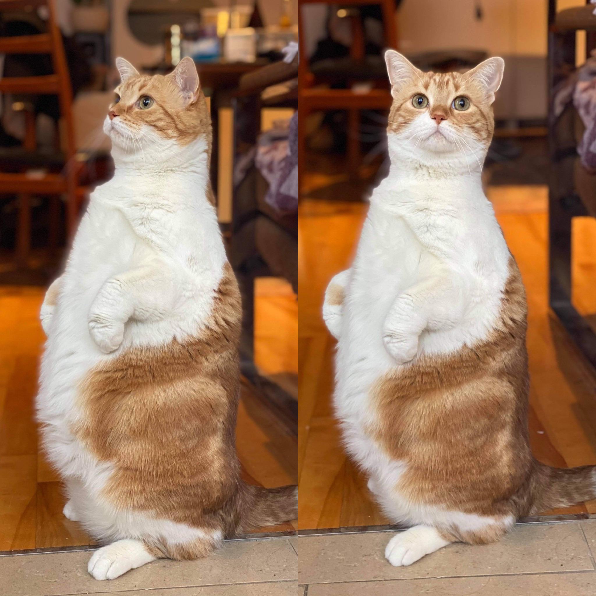 On the look out for her last braincell. No dice. | Scrolller