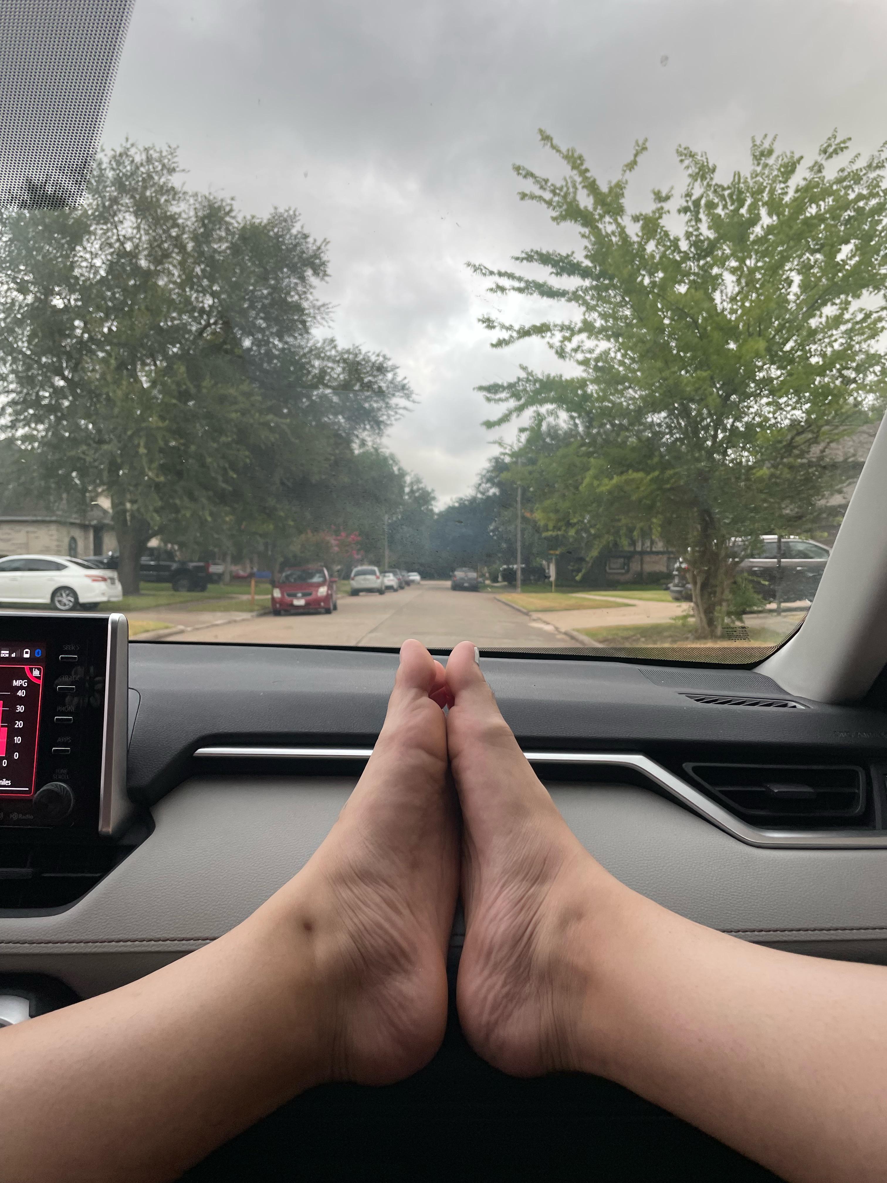 On the road, who wants more? | Scrolller